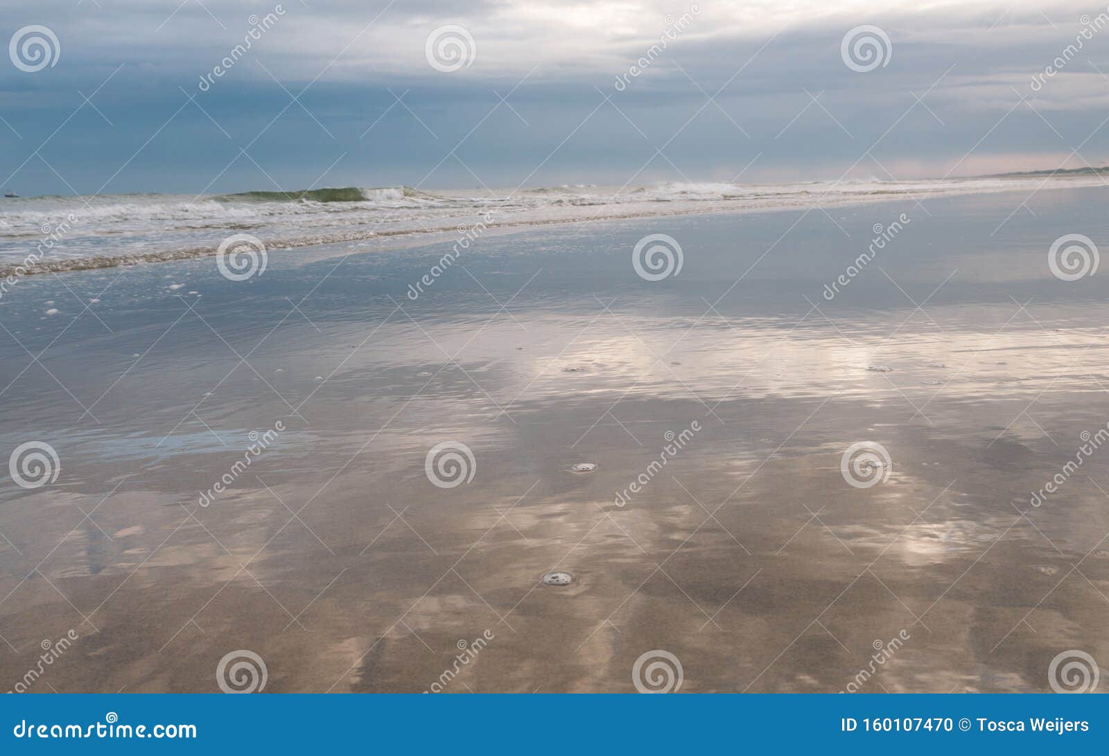 Sunrise Along Coast of the Dutch Waddenzee Stock Photo - Image of grass ...
