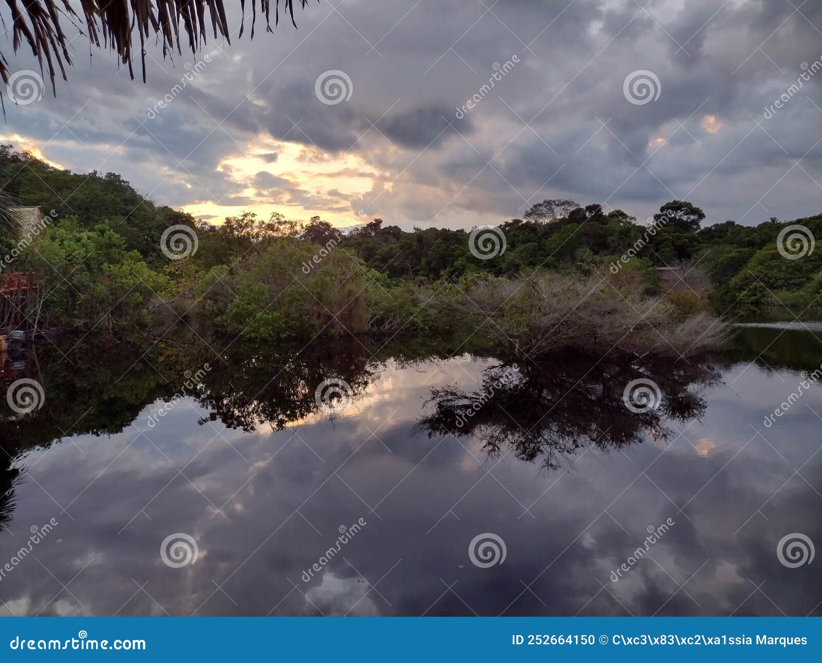 Sunrise of the Amazon Rainforest Stock Photo - Image of negro, ioga ...