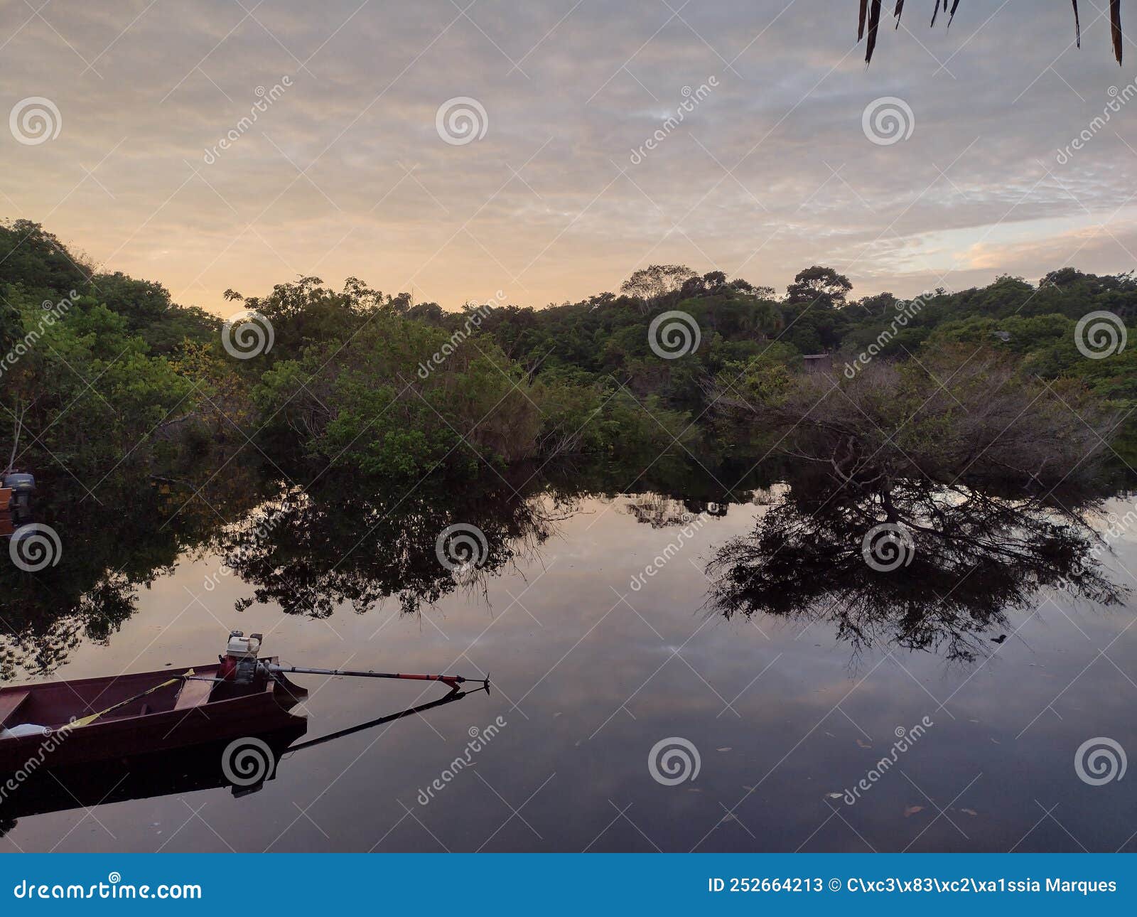 Sunrise of the Amazon Rainforest Stock Image - Image of landscape ...