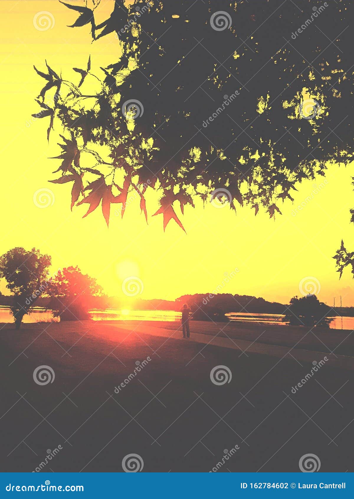 Sunrise stock photo. Image of water, sunrise, trees - 162784602