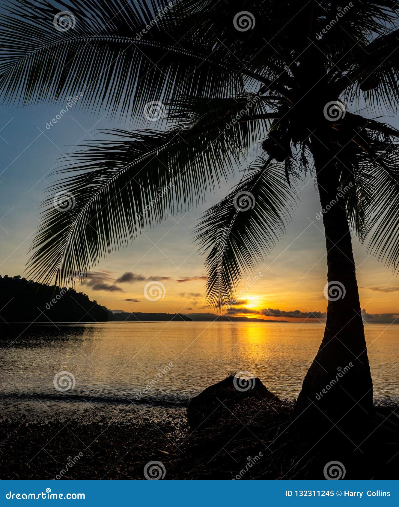 Sunrise in Costa Rica stock image. Image of starry, milky - 132311245