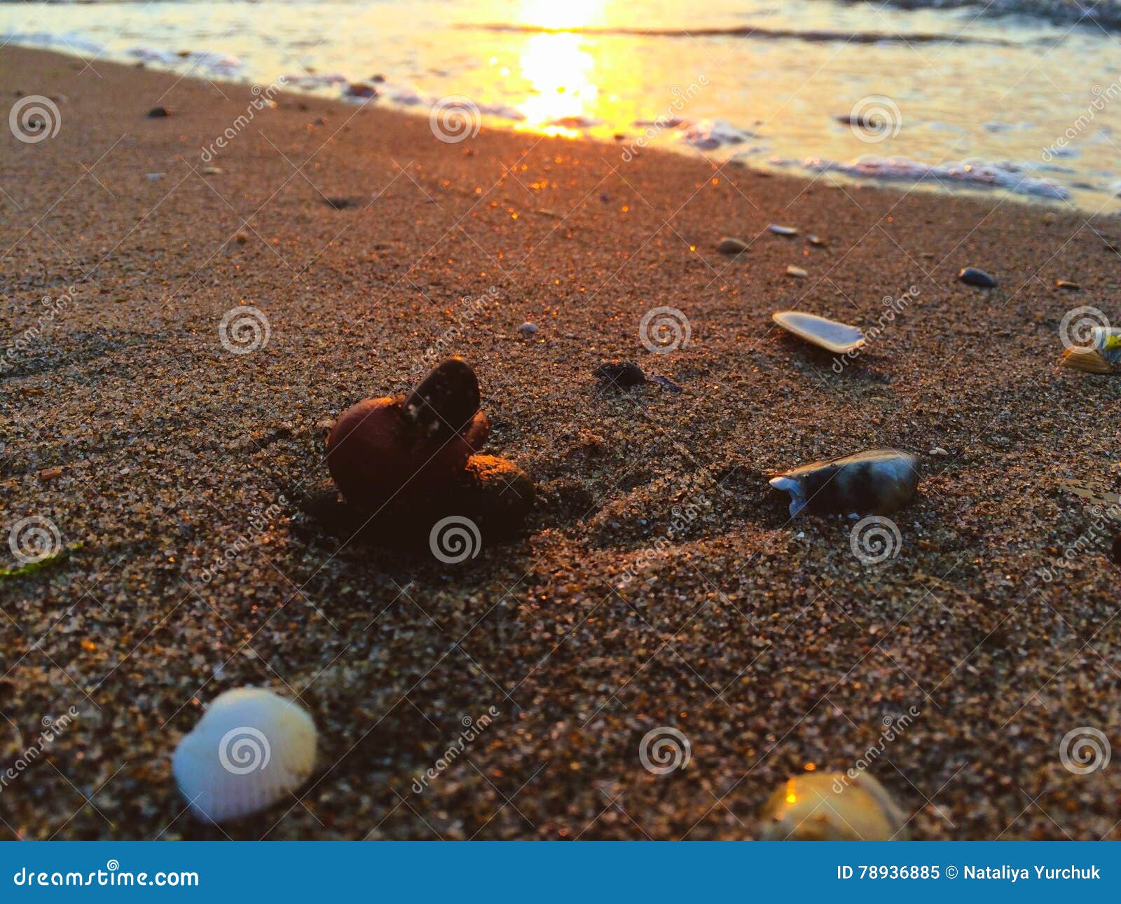 Sunrise on a Beach with Small Stones Stock Image - Image of summer ...