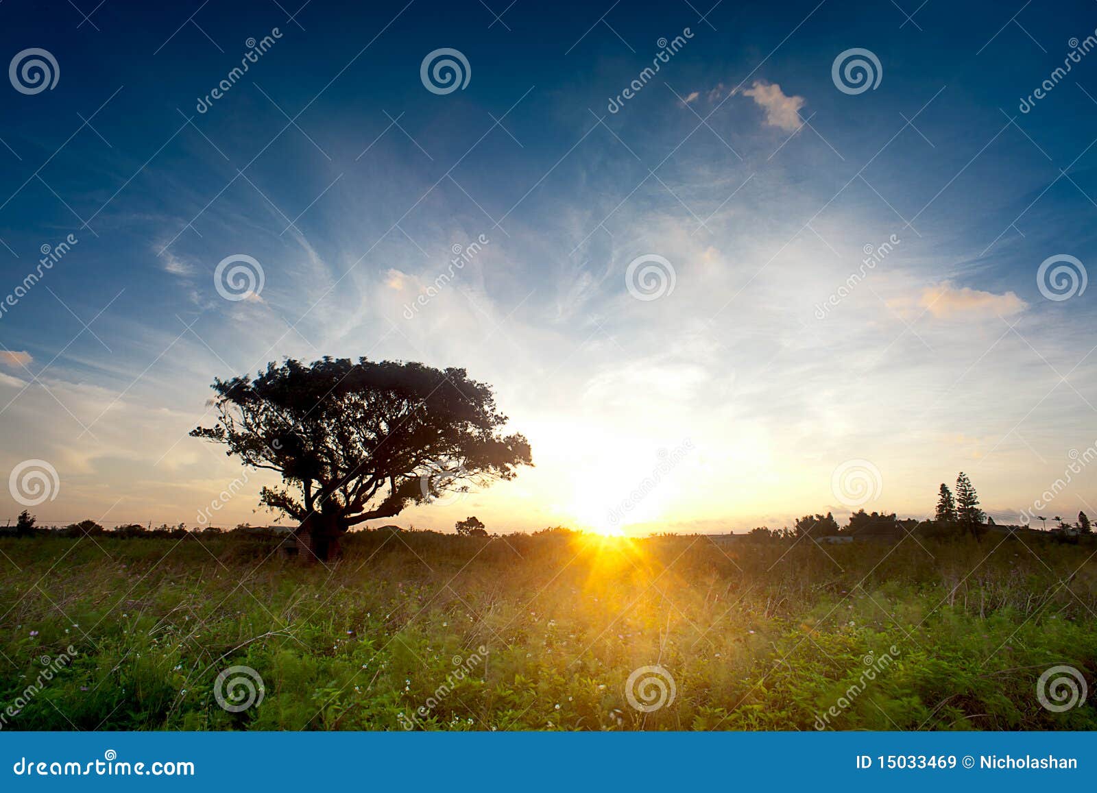 Sunrise with Beautiful Green Stock Image - Image of clouds, reflection ...