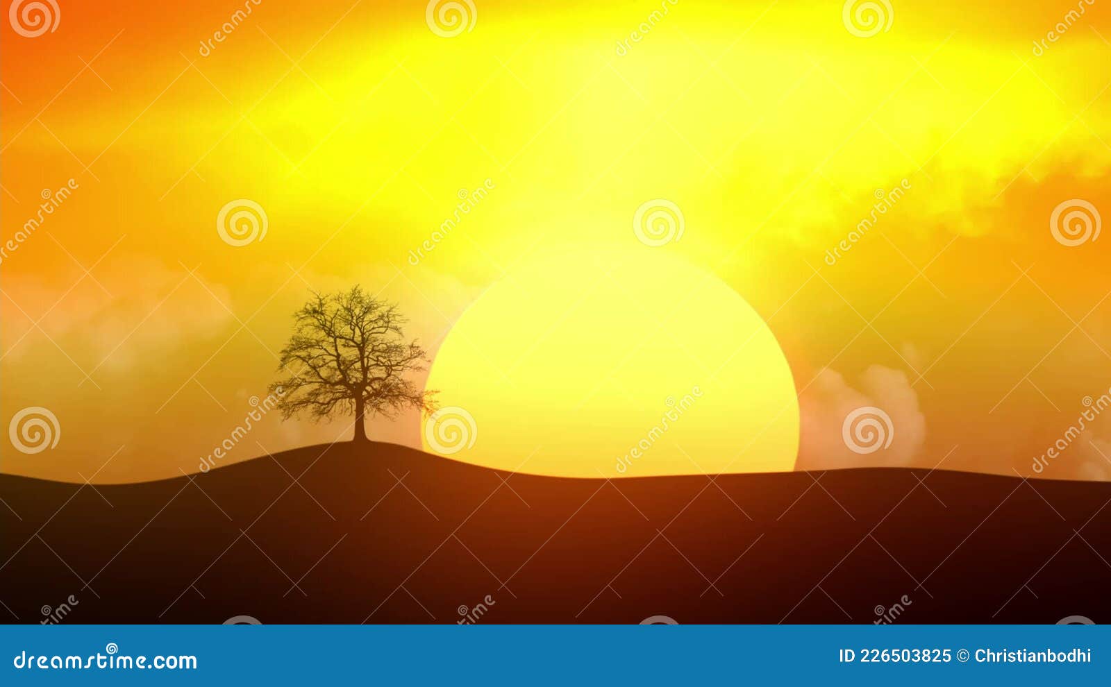 Sunrise Behind the Hill with the Tree Silhouette and Moving Clouds ...