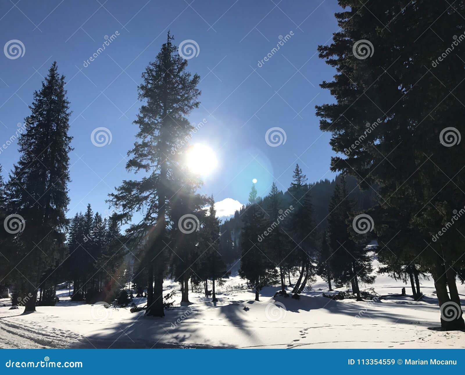 Sunrise Behind the Mountins and Trees Stock Image - Image of center ...