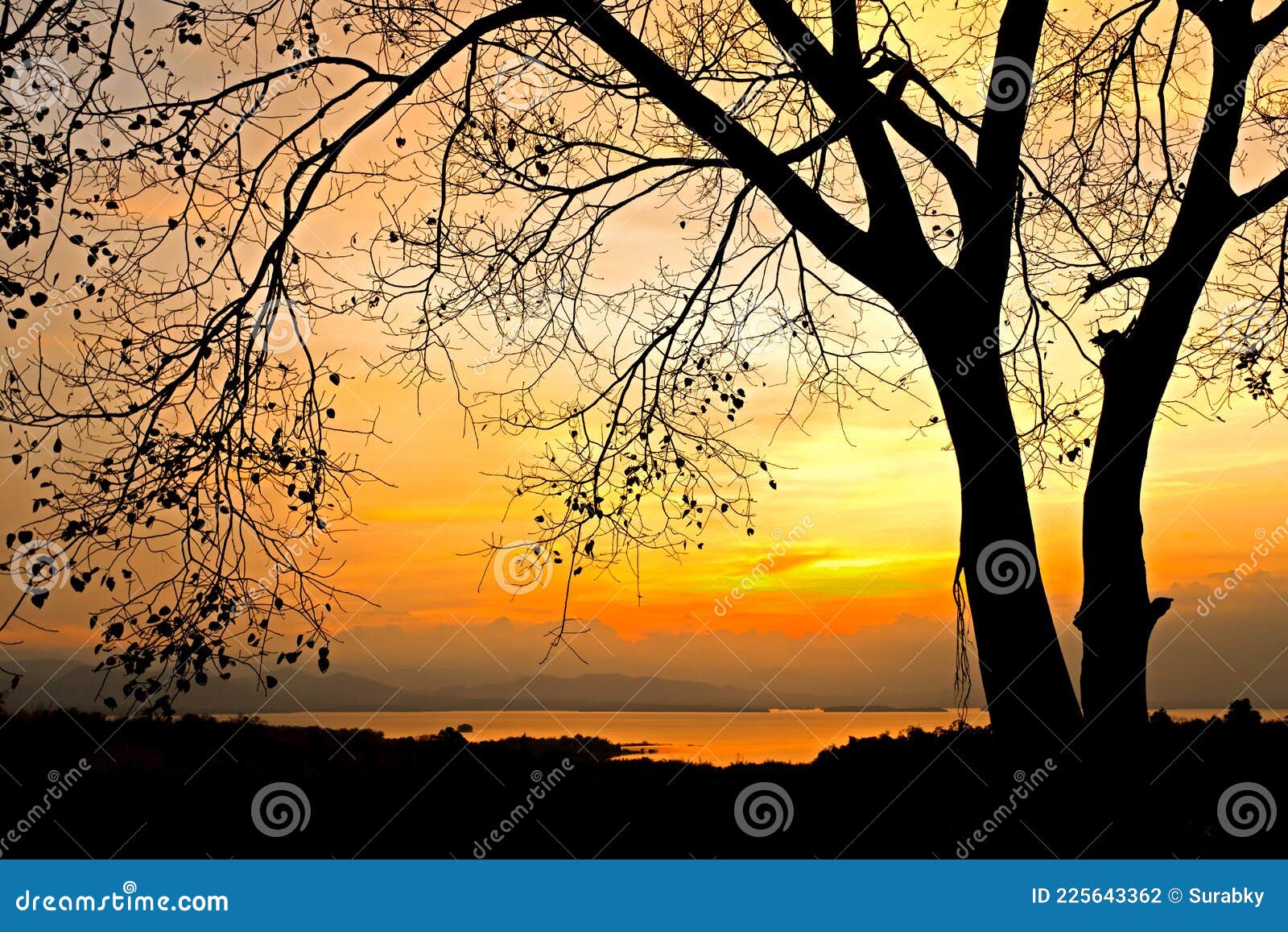 Sunrise behind tree stock photo. Image of island, outdoor - 225643362