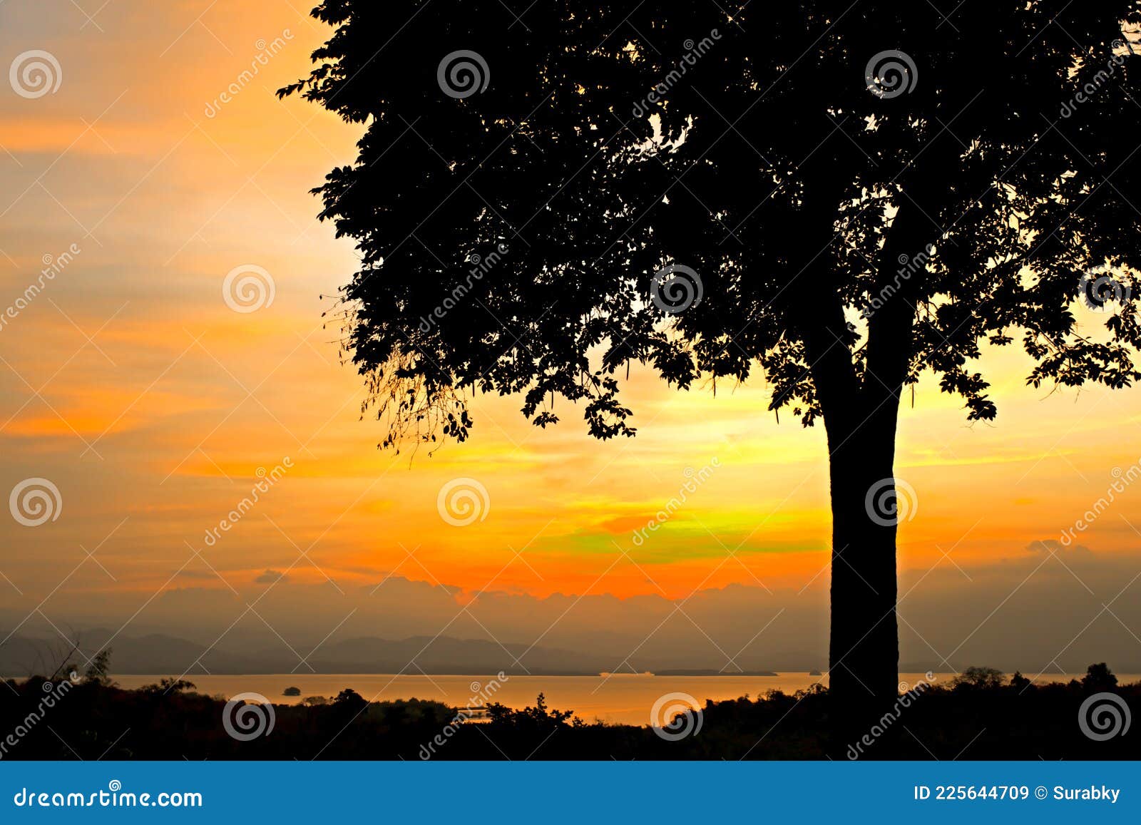 Sunrise behind tree stock image. Image of landscape - 225644709