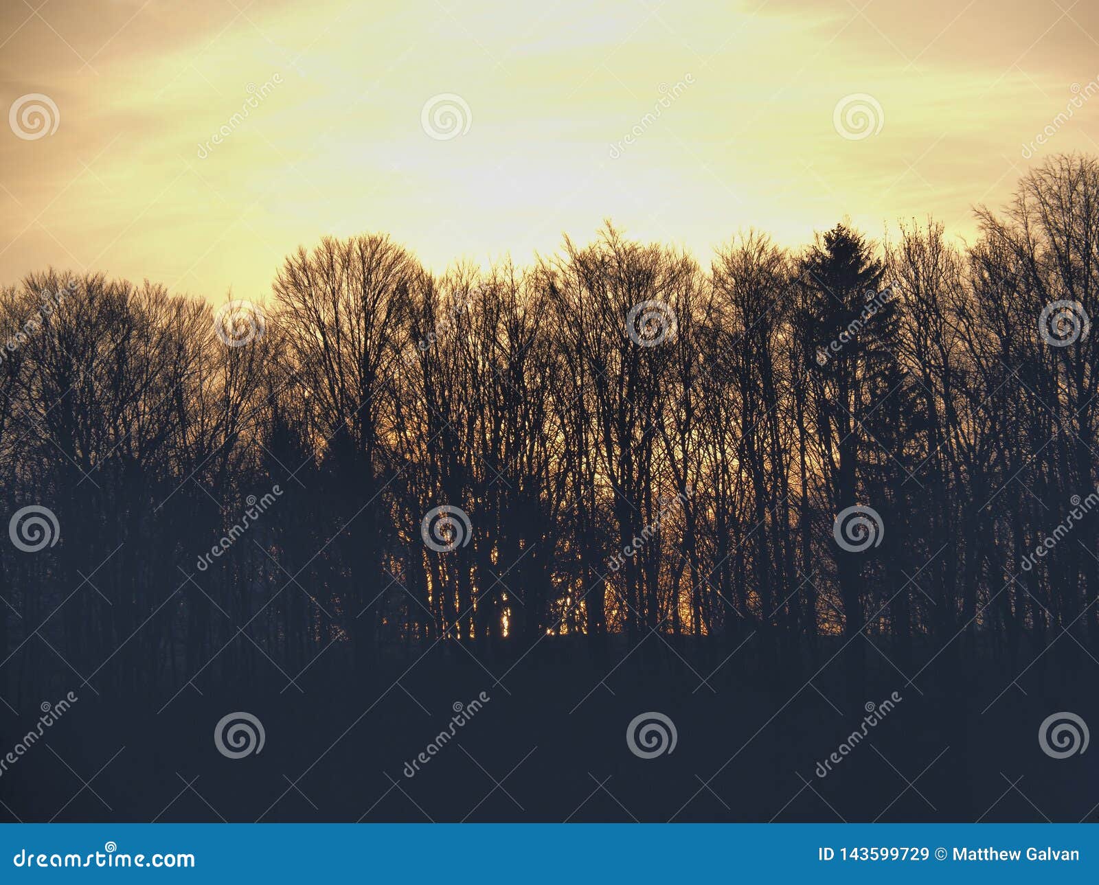 Sunrise Behind Trees and Hill Stock Image - Image of early, morning ...