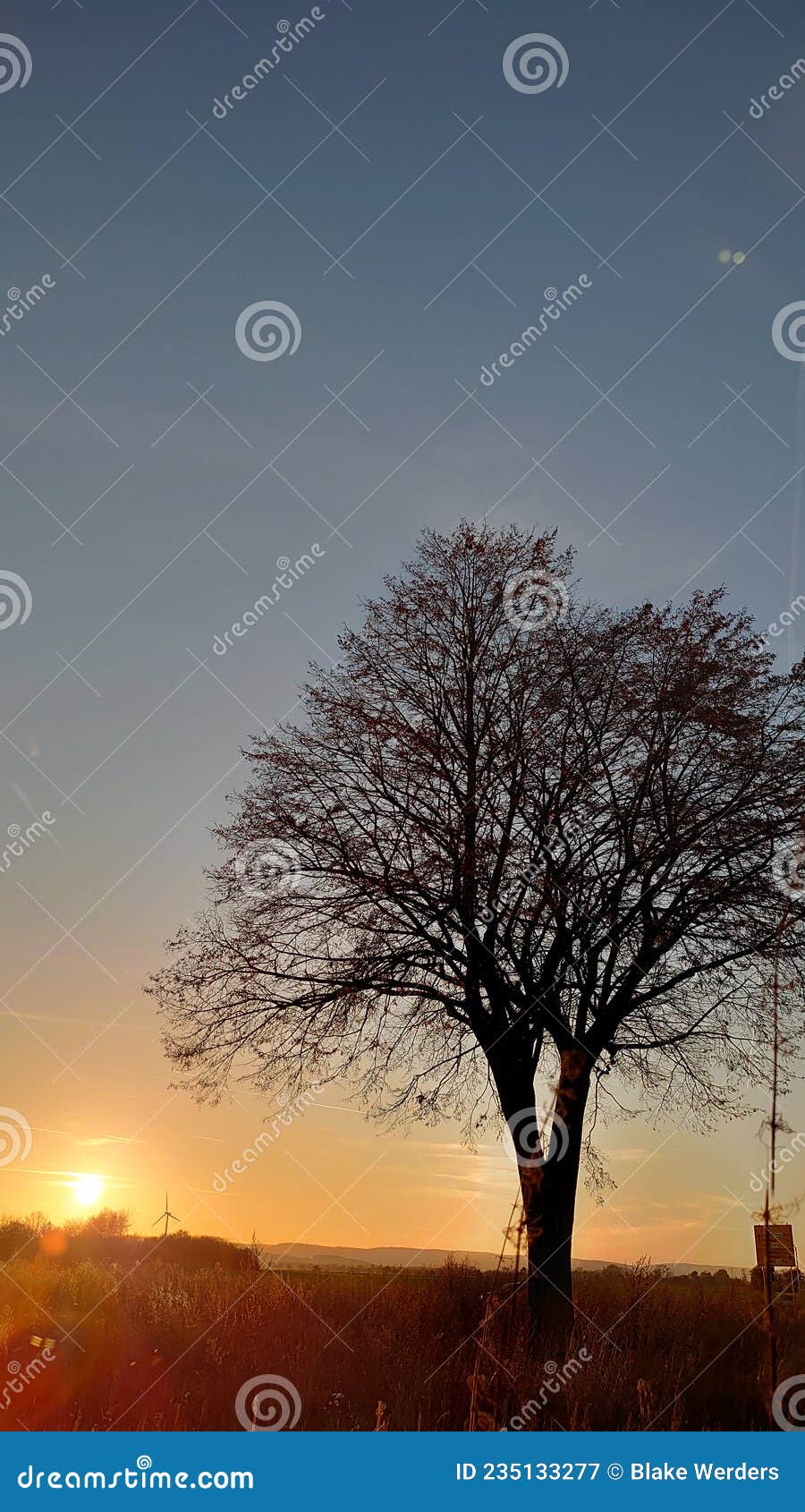 Sunrise in Blue Sky with a Bit of Tree and Landscape Stock Image ...