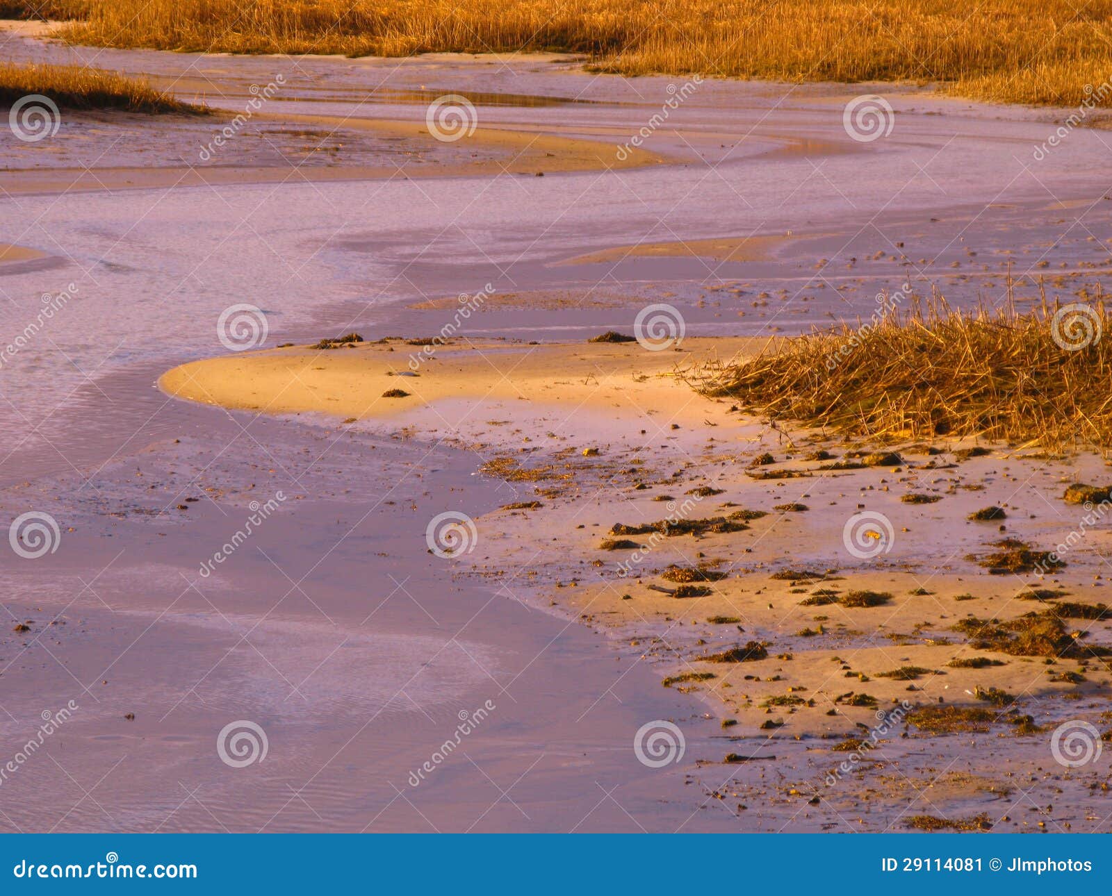 Sunrise on a Cape Cod Marsh Stock Image - Image of beach, colors: 29114081