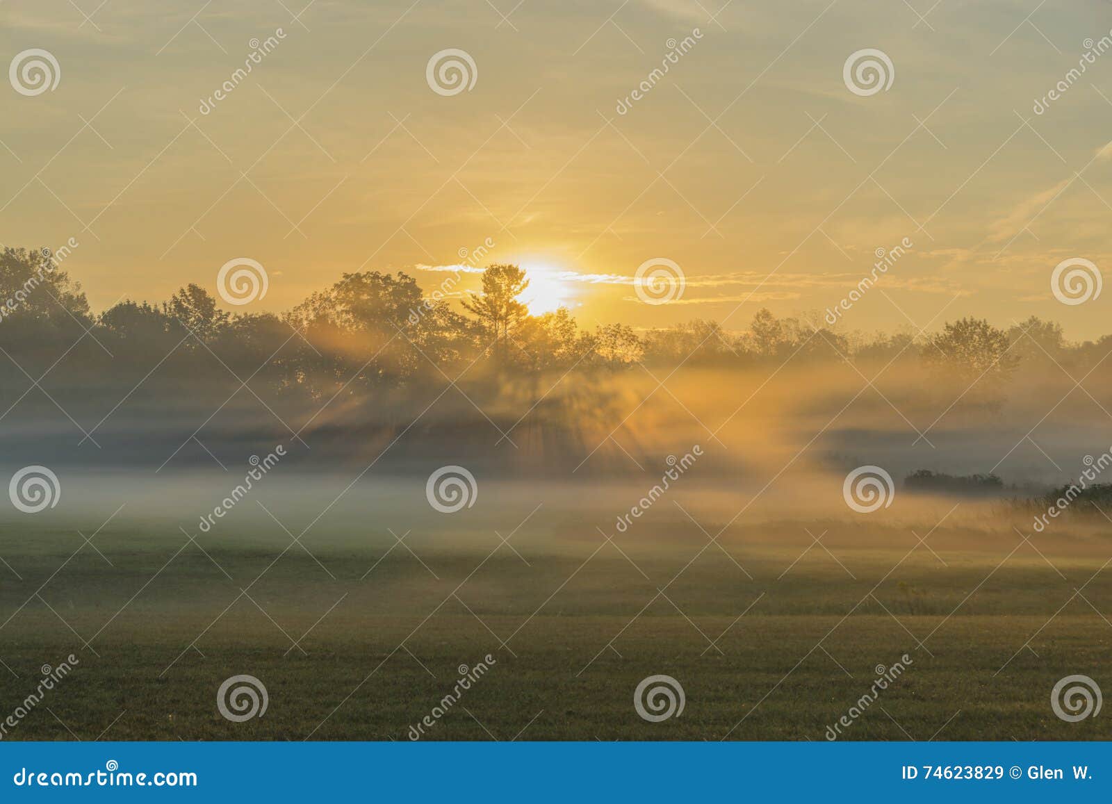 Sunrise Casting Shadows in the Fog Stock Image - Image of morning, dawn ...
