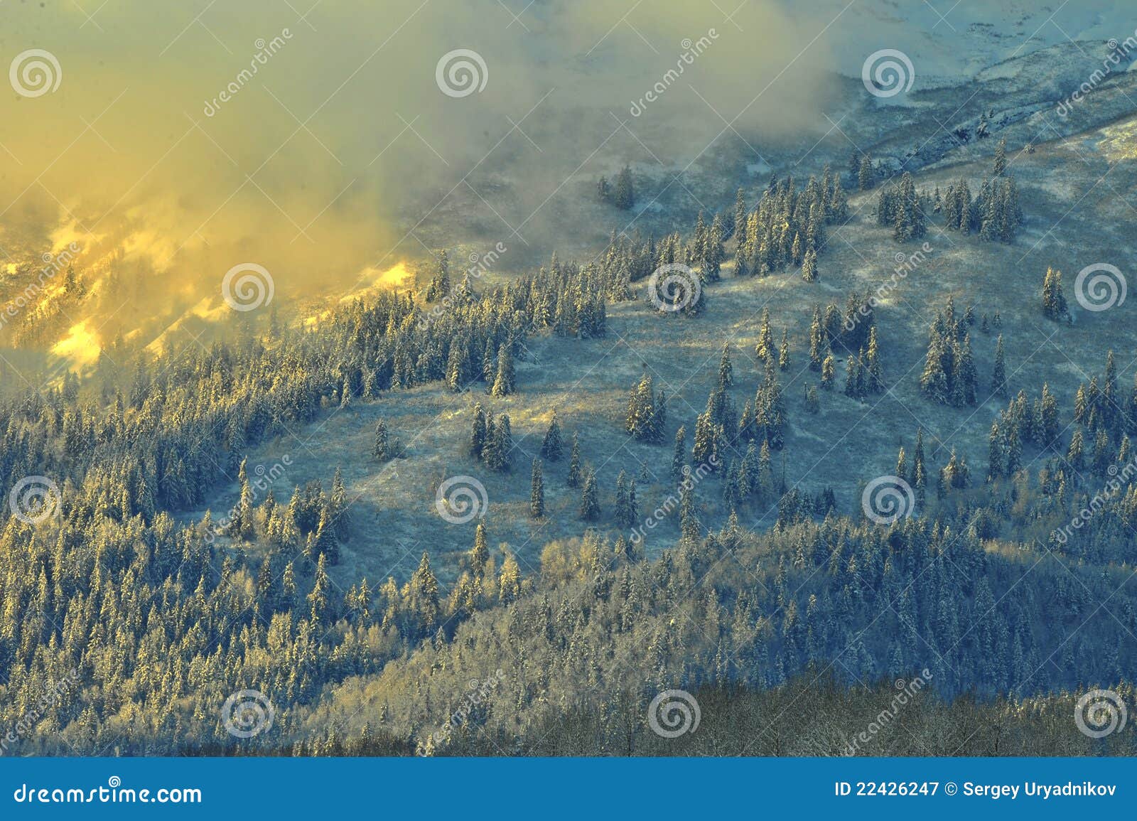 Sunrise Chilkat Valley Under Snow Stock Image - Image of nature, bald ...