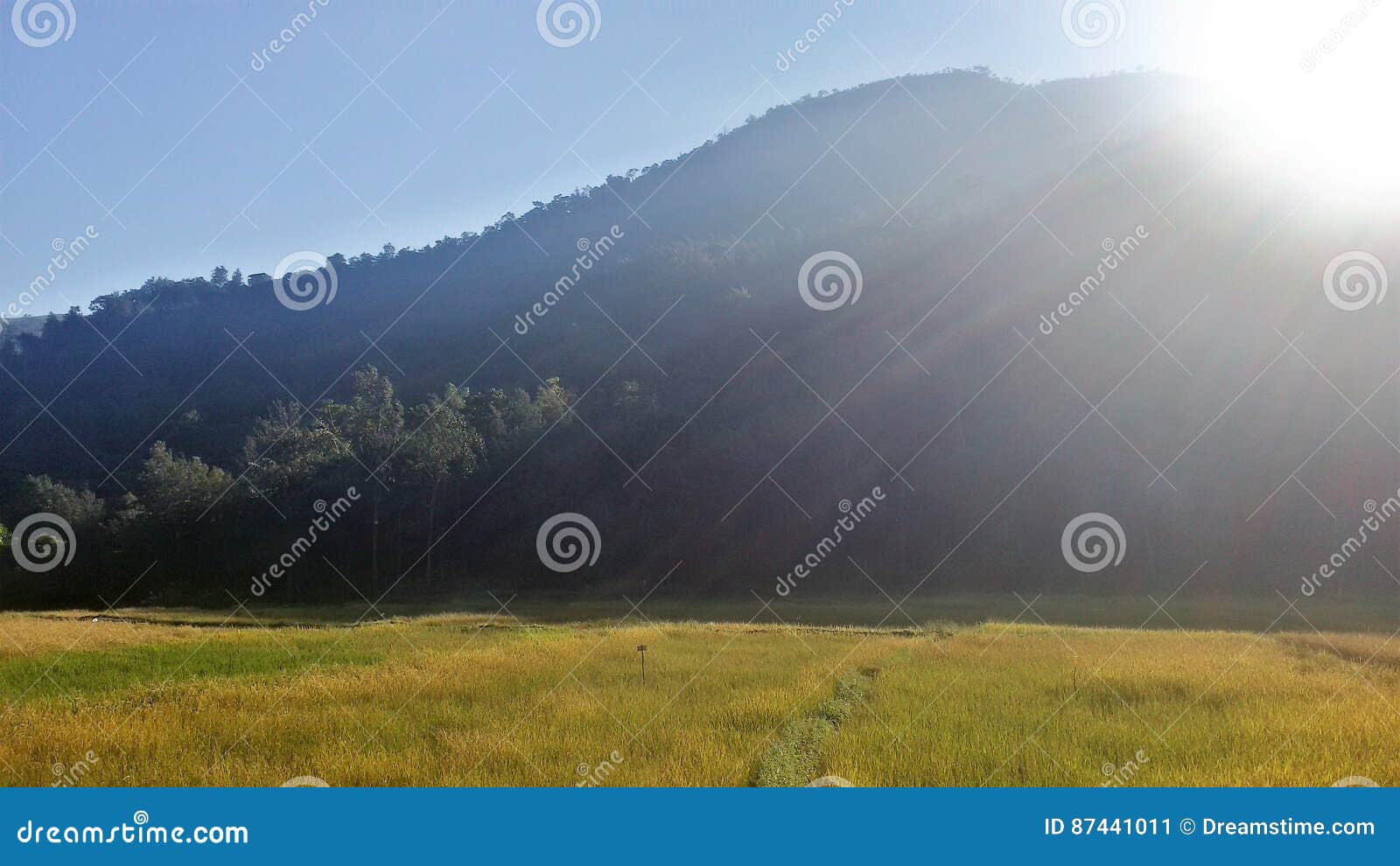 Sunrise stock image. Image of classic, lammasingi, sunrise - 87441011