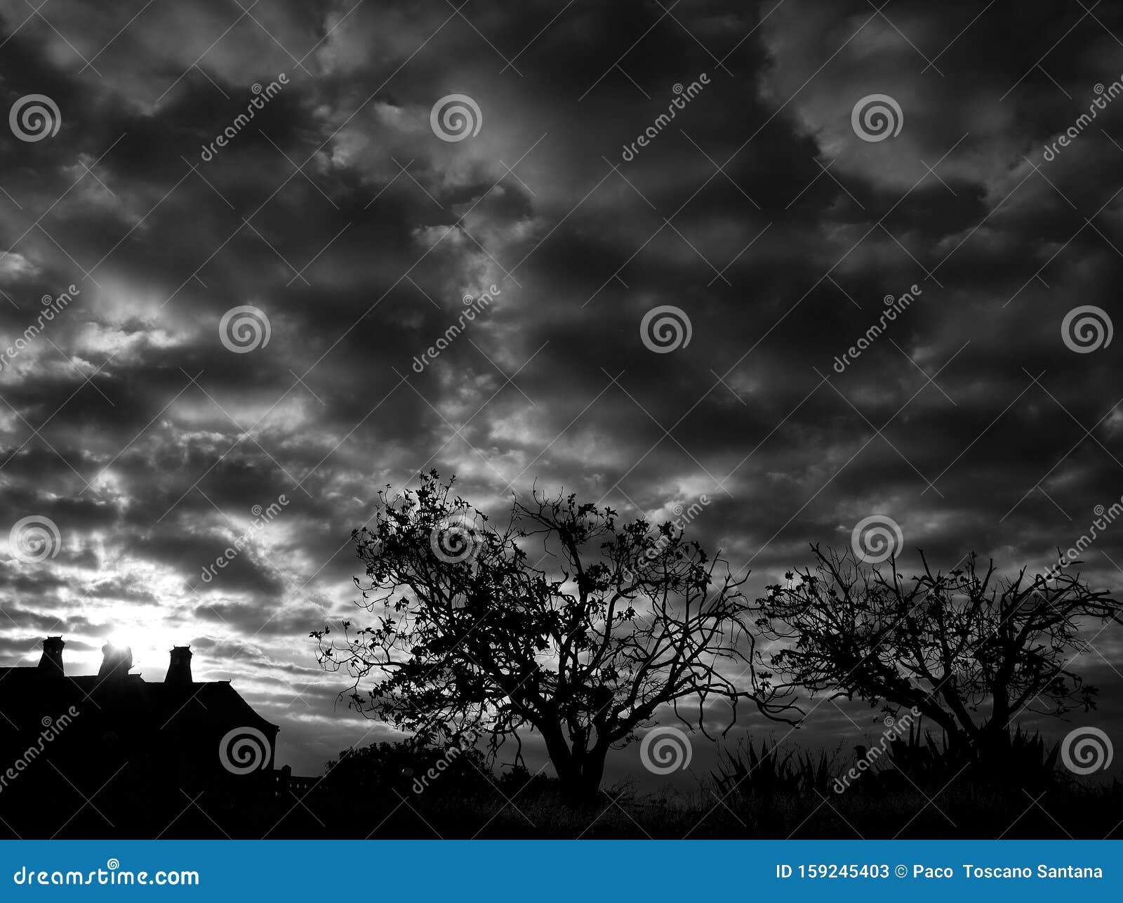 Backlit landscape at dawn stock image. Image of contrasts - 159245403