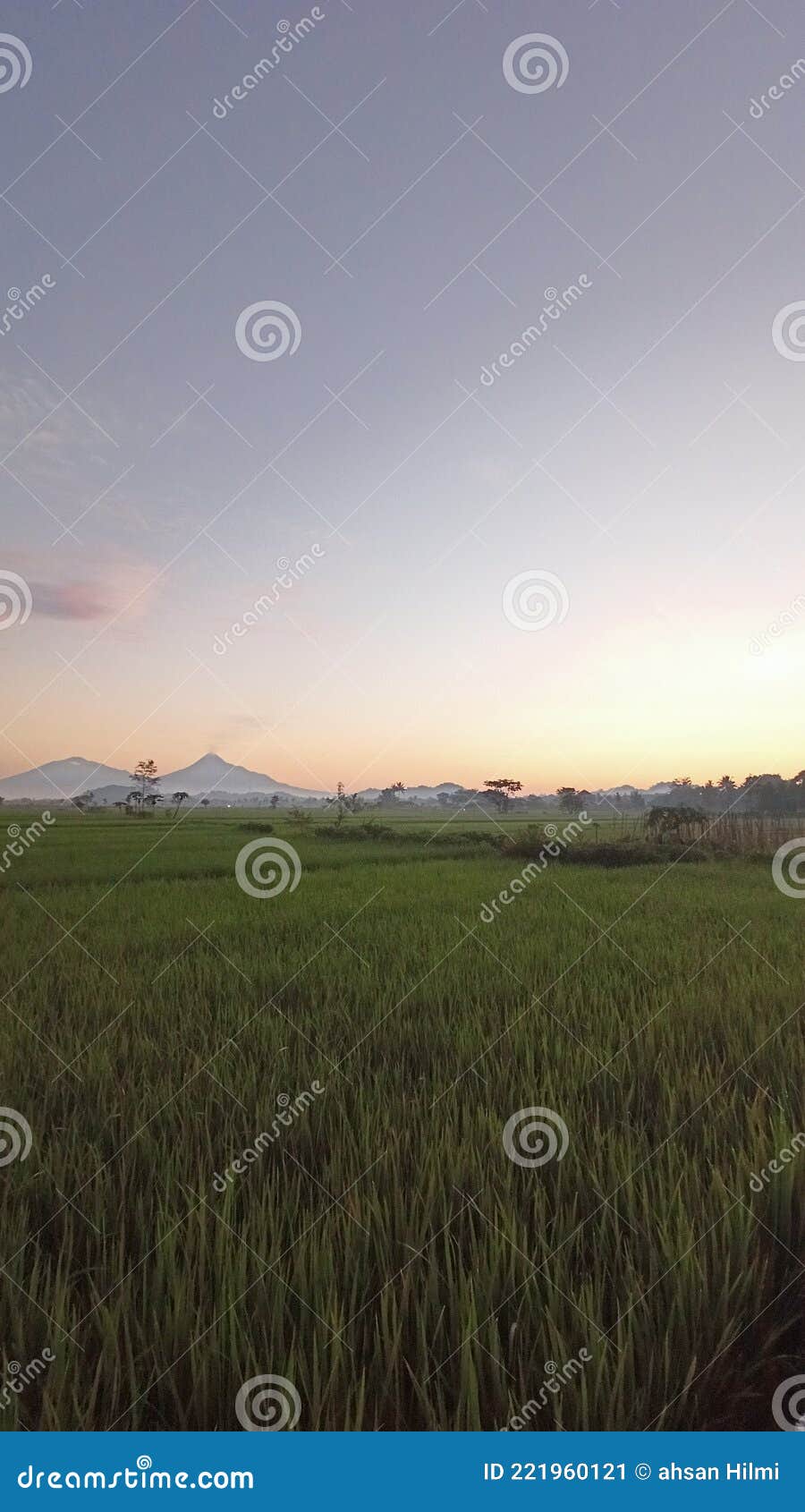 Sunrise with a Cold Atmosphere in the Rice Fields Stock Image - Image ...