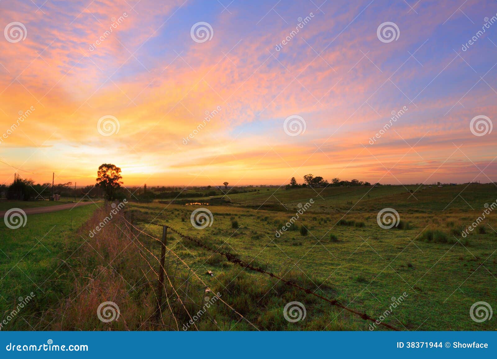 Sunrise in the country stock photo. Image of pasture - 38371944