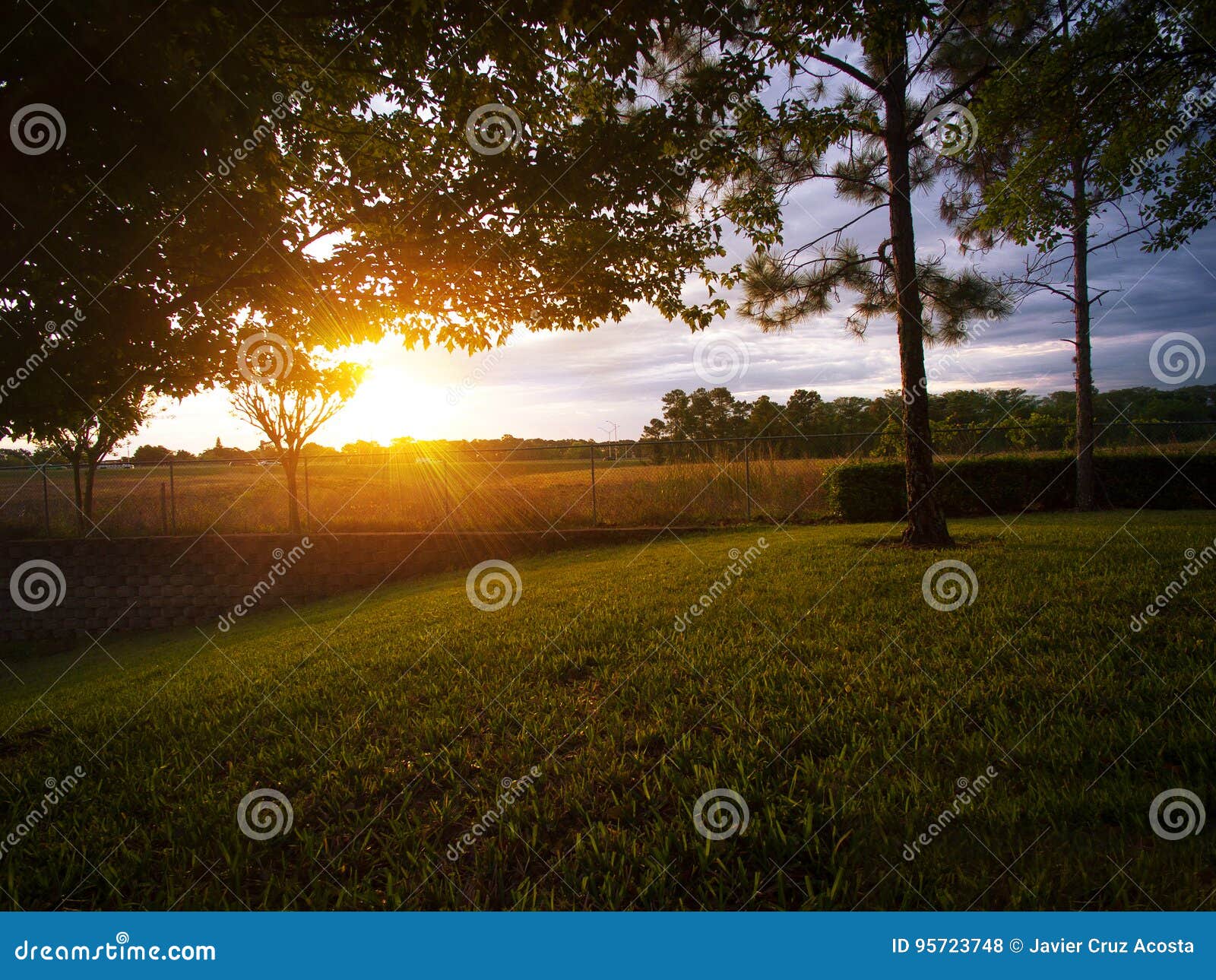 Sunrise in the country stock photo. Image of rural, grass - 95723748