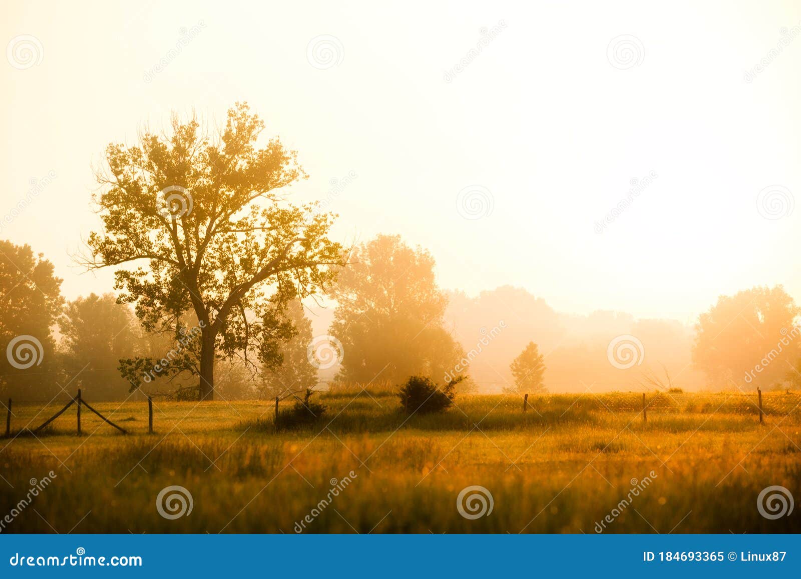 Sunrise in the countryside stock image. Image of sunlight - 184693365