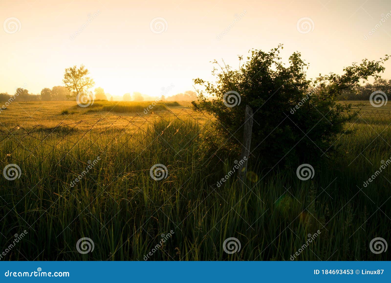 Sunrise in the countryside stock image. Image of scenic - 184693453