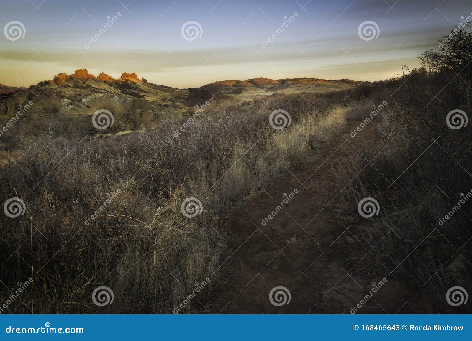 Sunrise on the Devils Backbone in Loveland Colorado Stock Image - Image ...