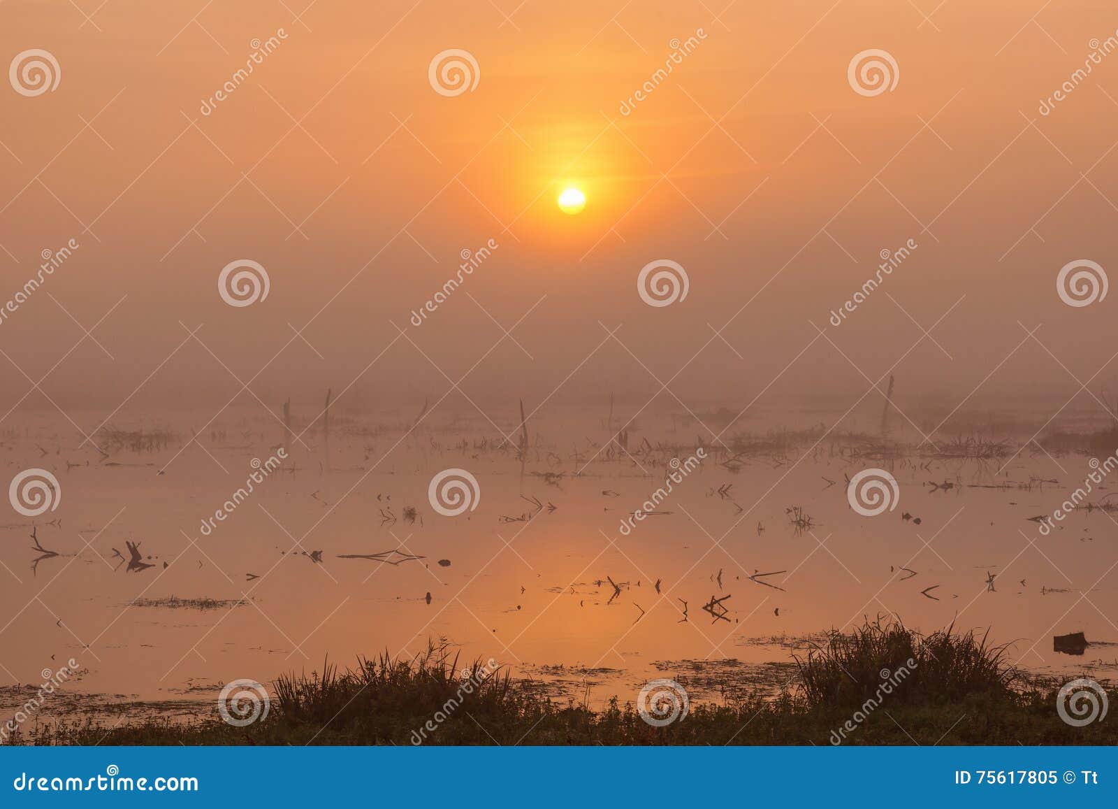 Sunrise in the Early Morning Mist Stock Image - Image of lake, beach ...