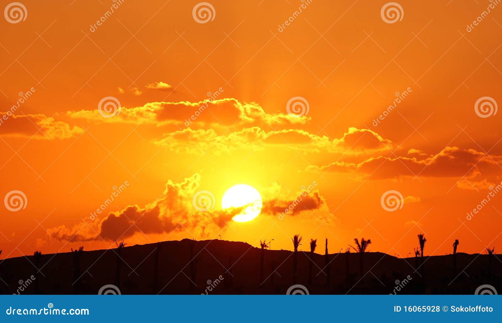 Sunrise in Egypt stock photo. Image of landscape, palm - 16065928
