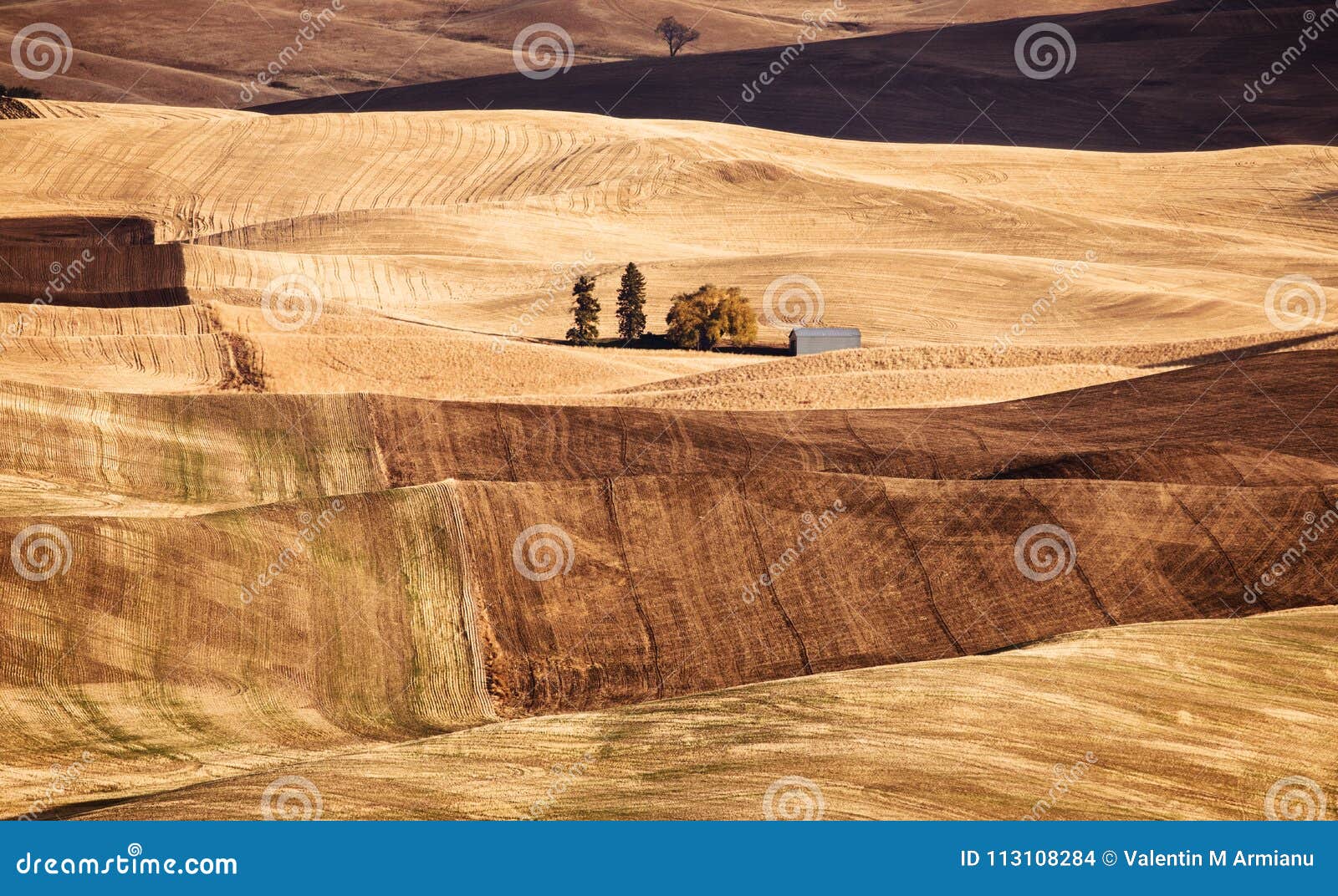 Palouse Valley in the fall stock photo. Image of hill - 113108284