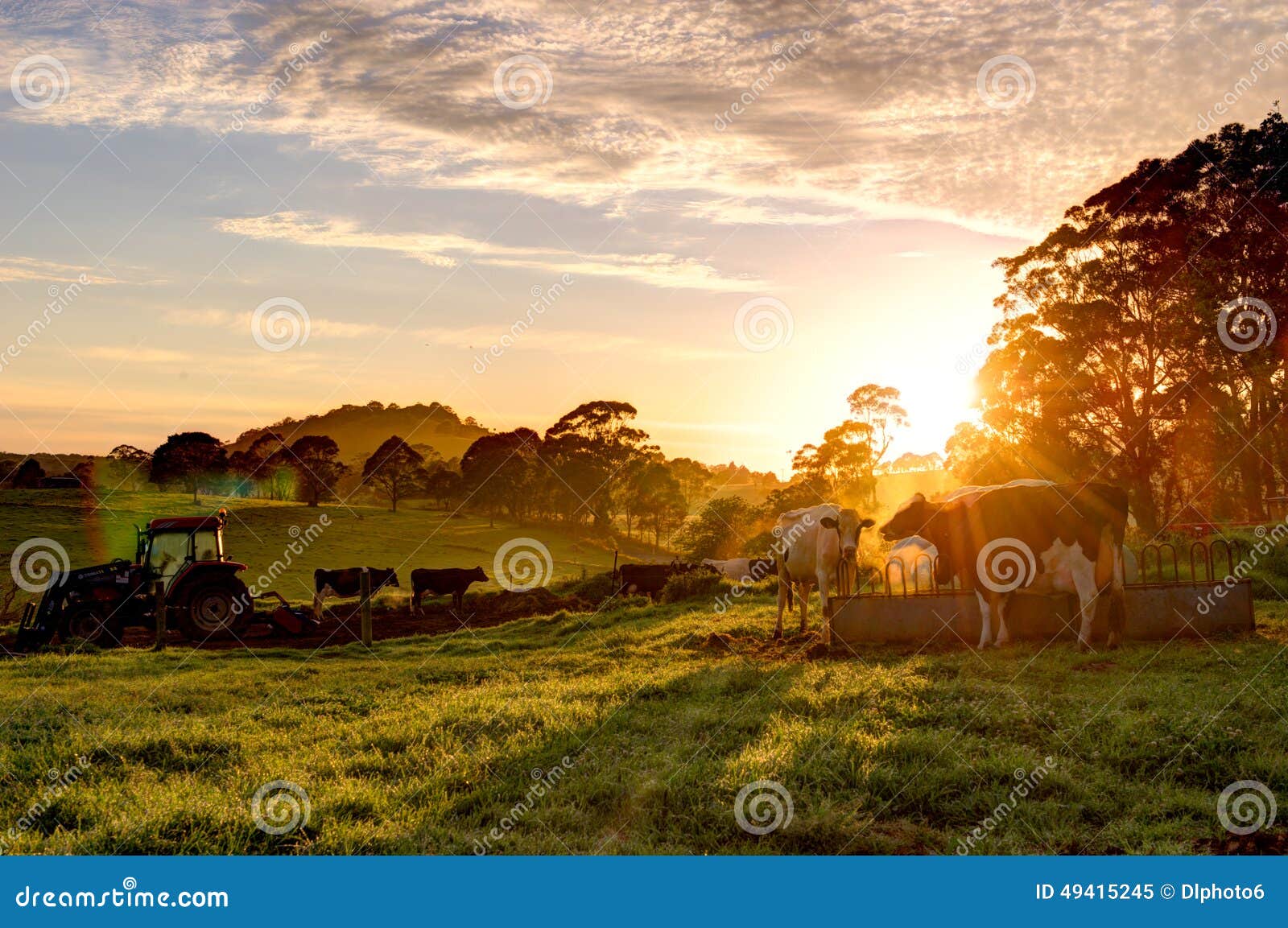 Sunrise on the farm stock image. Image of country, people - 49415245