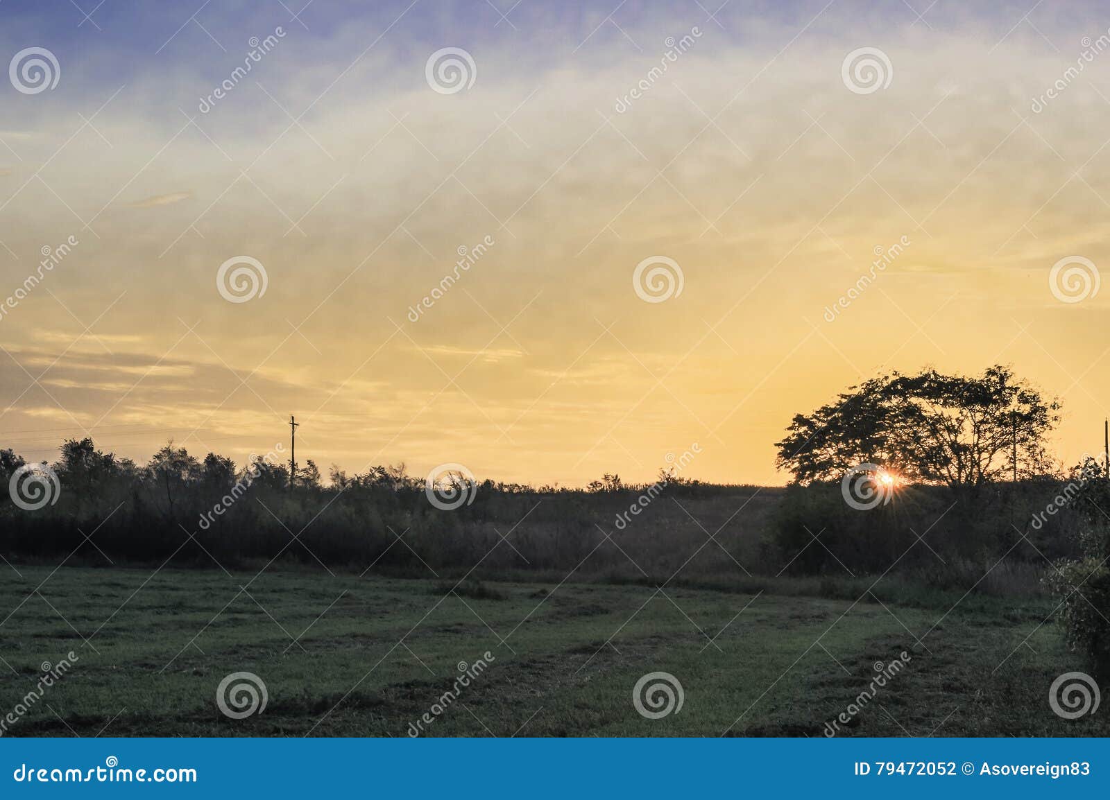 Sunrise on the farm stock photo. Image of field, morning - 79472052