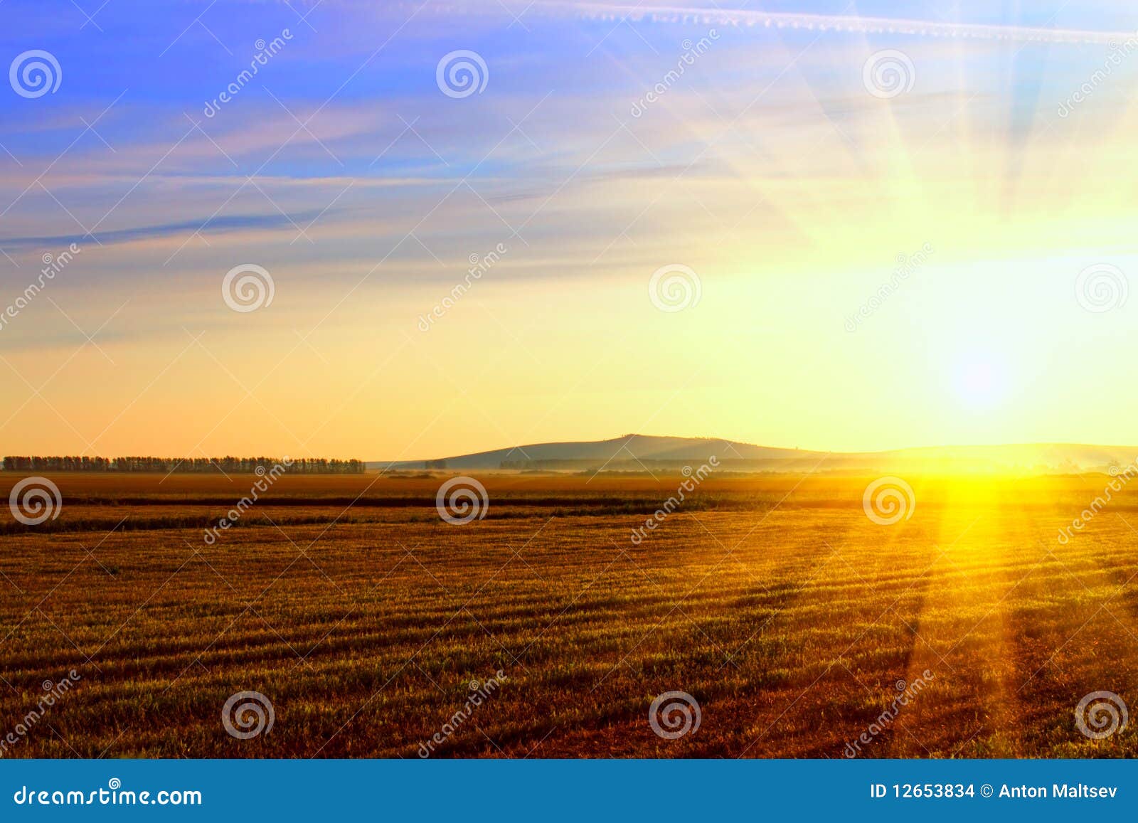 Sunrise in the field stock photo. Image of prairie, light - 12653834