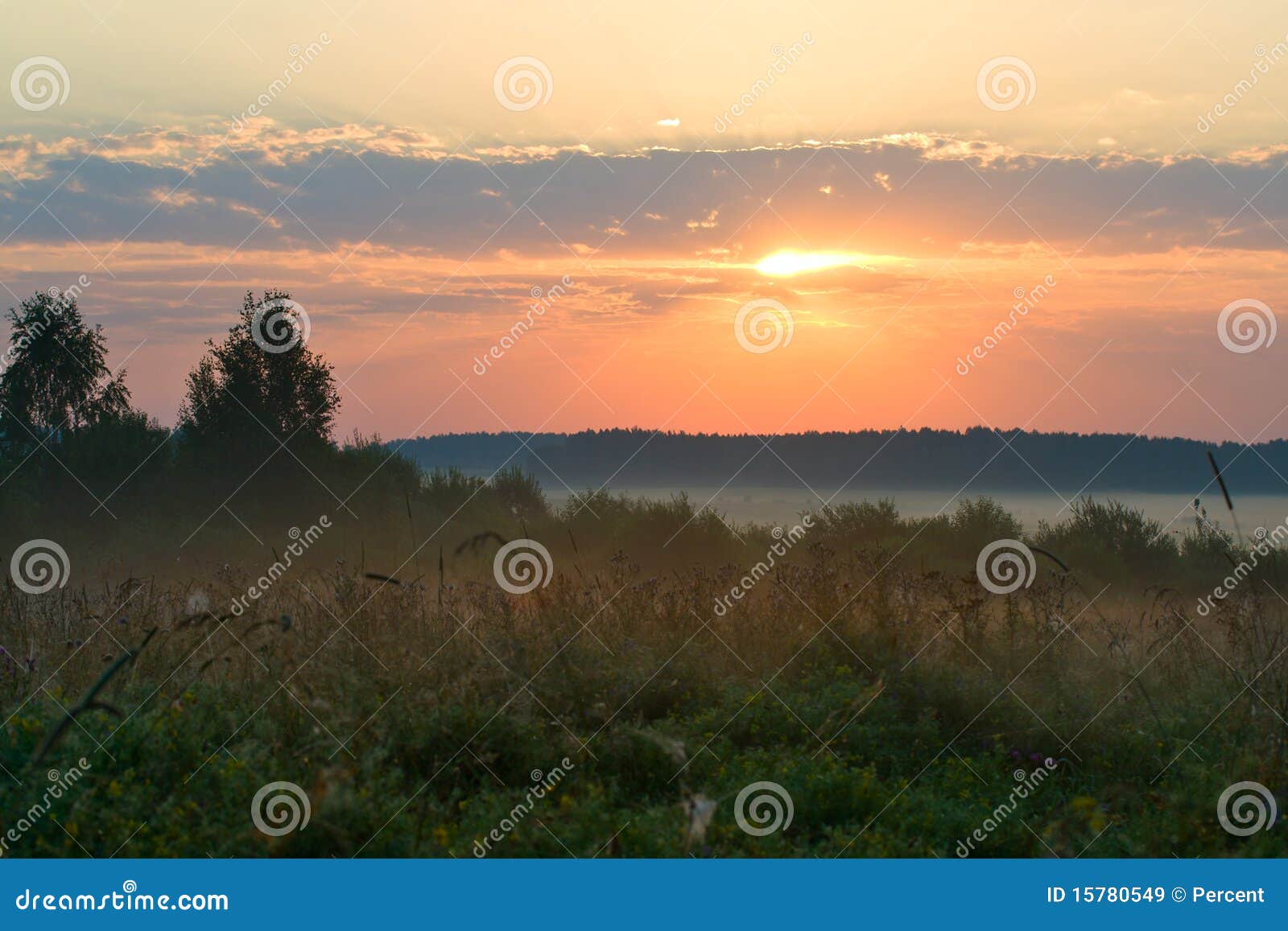 Sunrise on field stock image. Image of dawn, horizon - 15780549