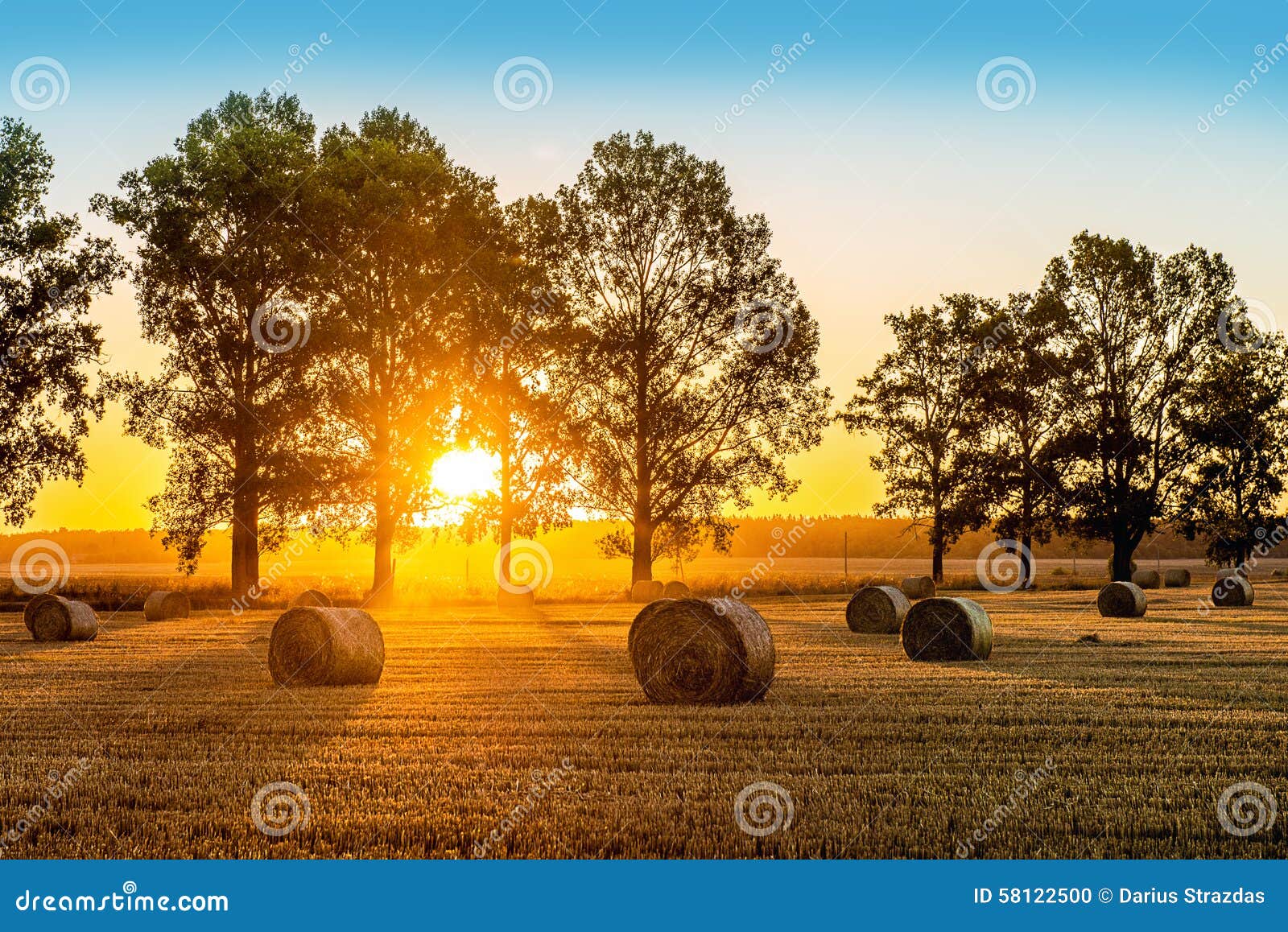 Sunrise field stock photo. Image of harvesting, harvested - 58122500