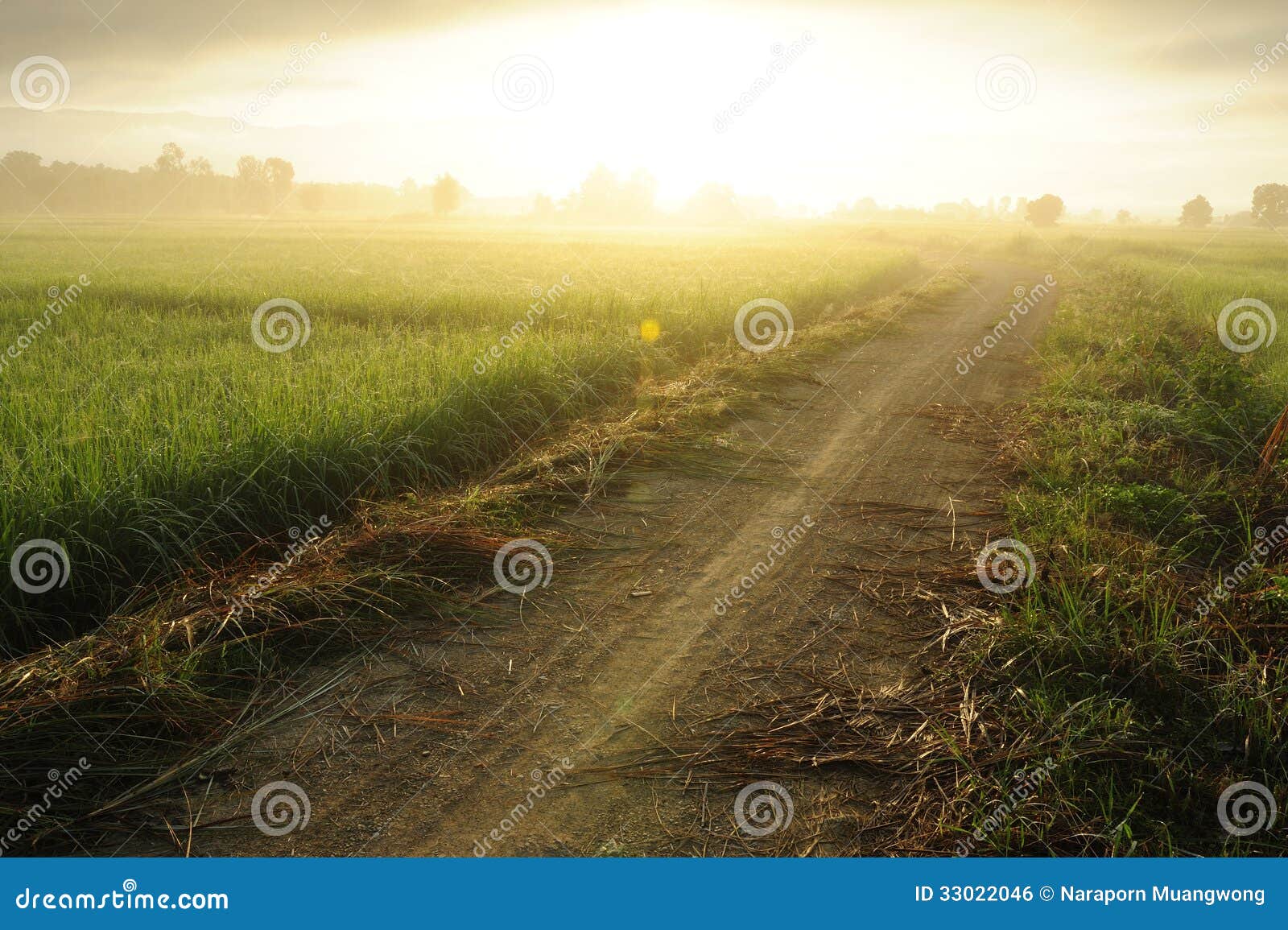 Sunrise in the field. stock photo. Image of green, landscape - 33022046