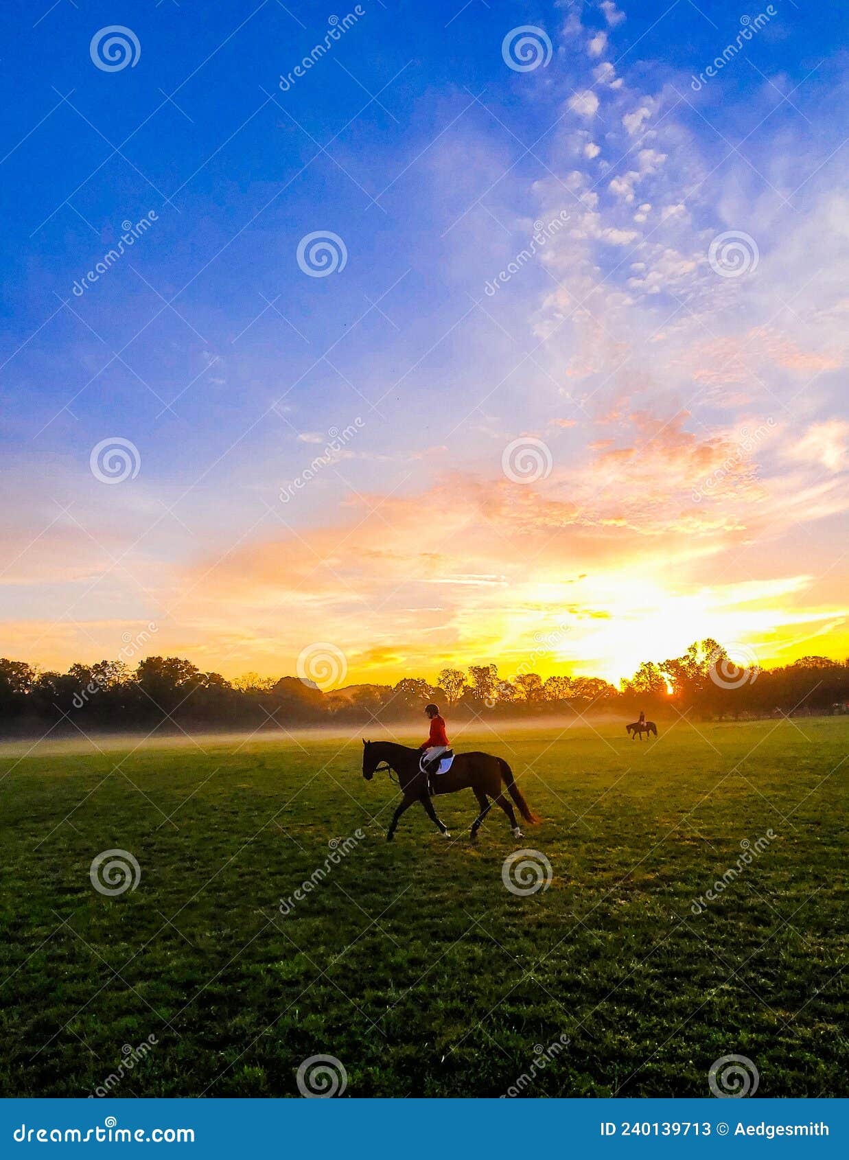 Sunrise field rides stock image. Image of hunter, cross - 240139713
