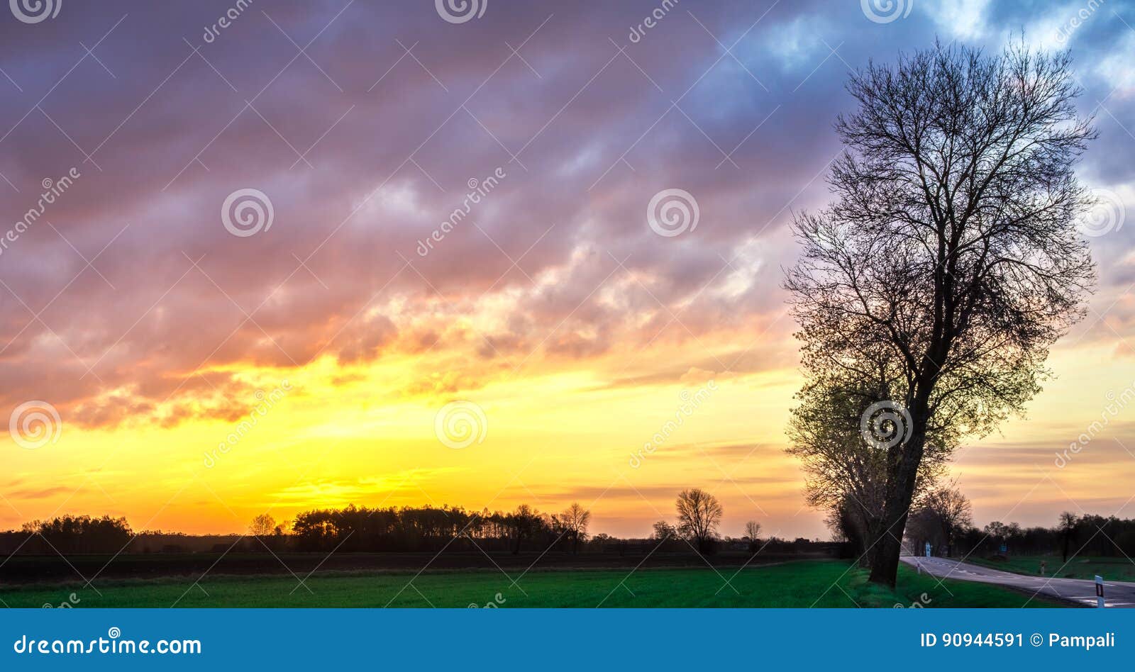 Sunrise in the Field and Tree Stock Image - Image of clouds, green ...