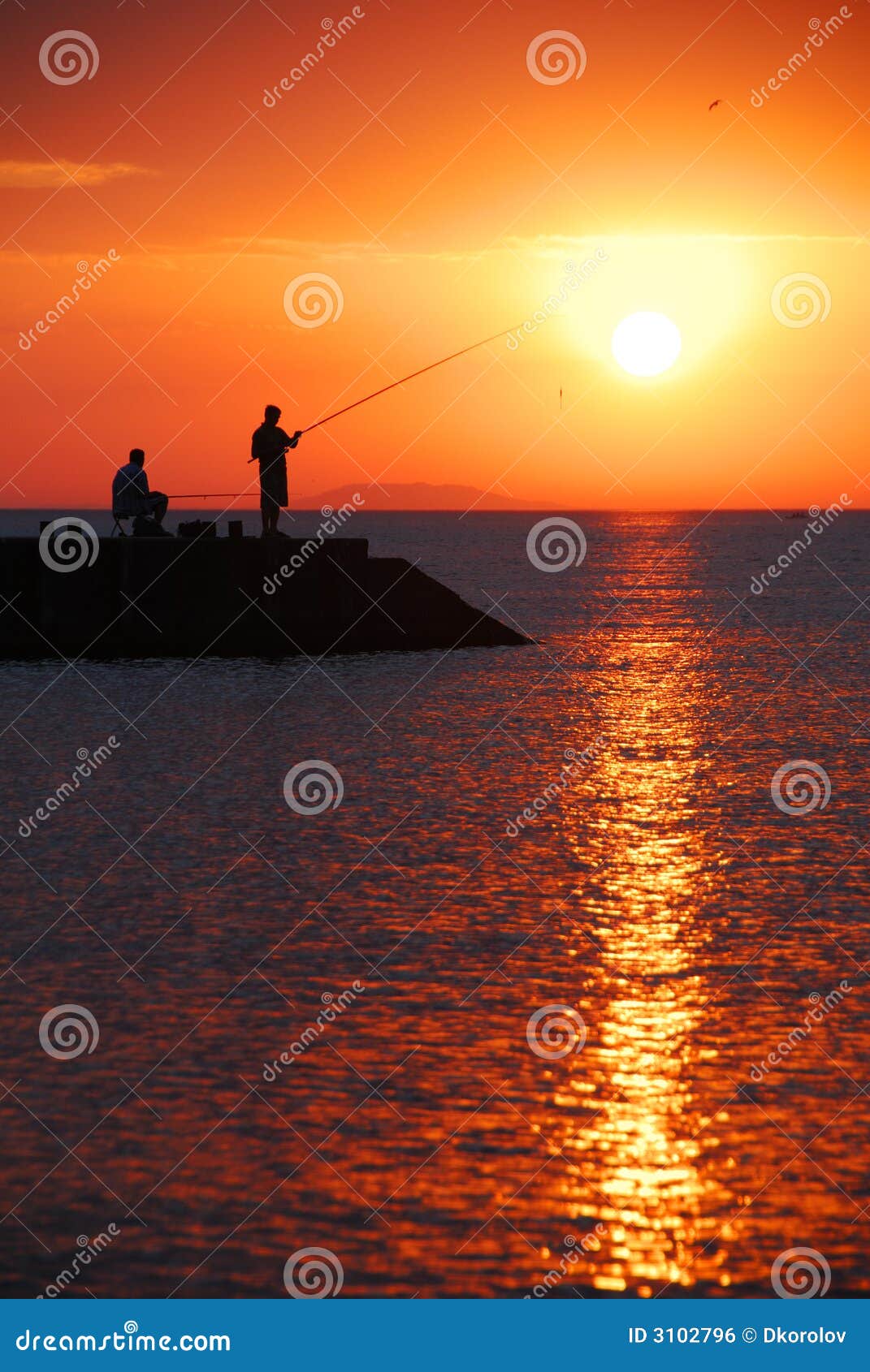 Sunrise fishing stock photo. Image of business, adult - 3102796