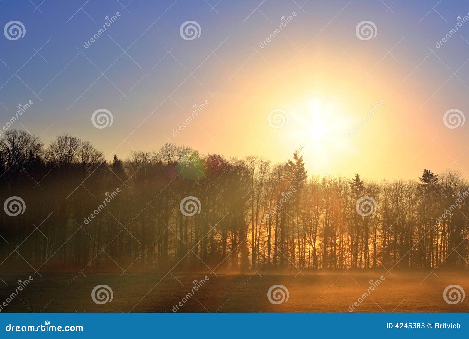Sunrise in fog stock image. Image of restful, serenity - 4245383