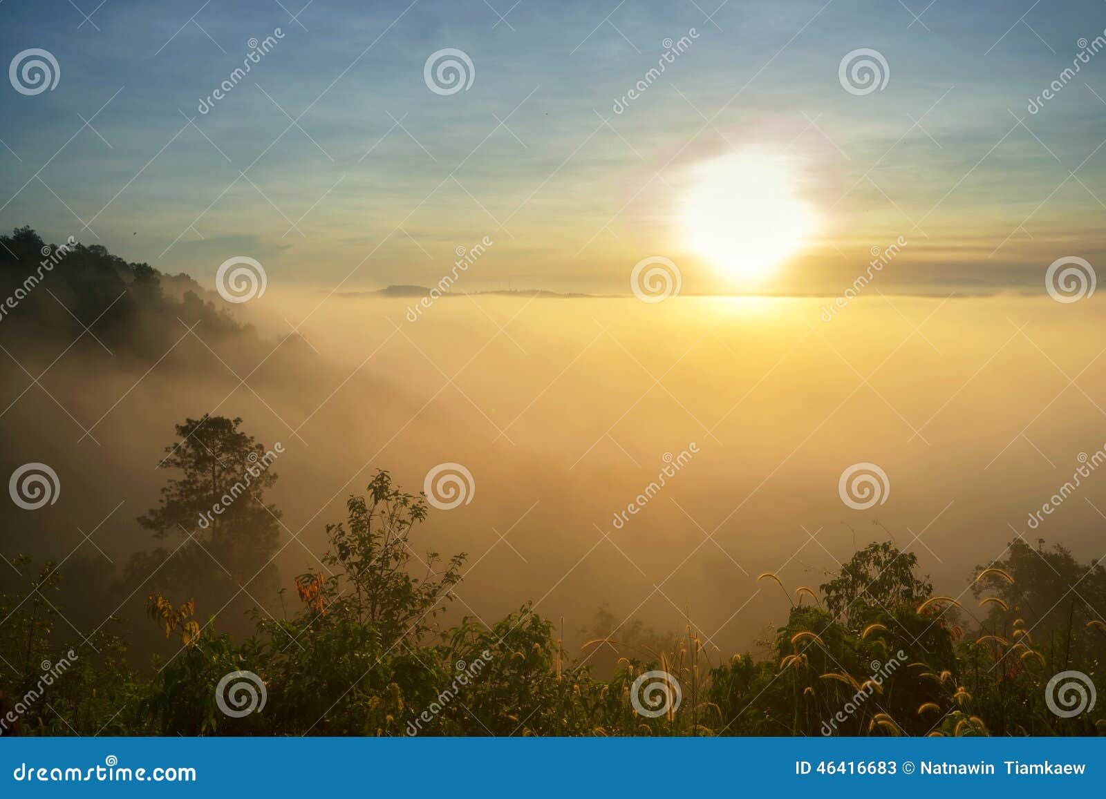 Sunrise and fog stock image. Image of sunlight, sunrise - 46416683