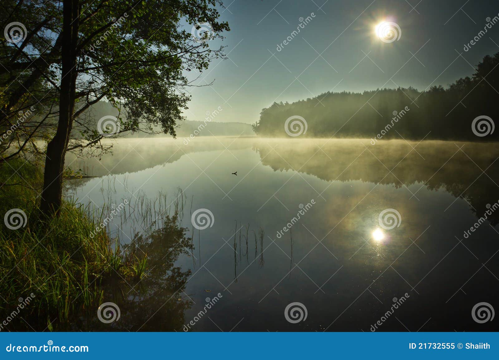 Sunrise at foggy lake stock image. Image of path, reflection - 21732555