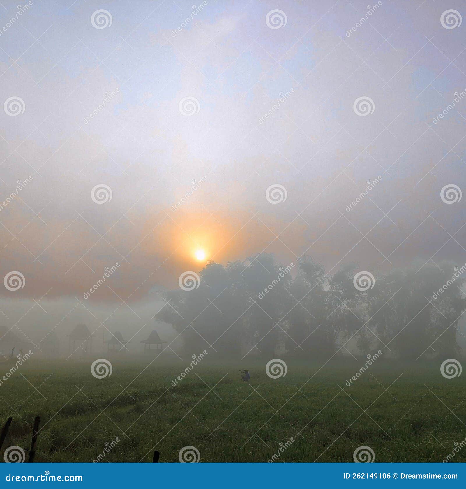 Sunrise at Foggy Morning Cloud Stock Photo - Image of cloud, sunrise ...