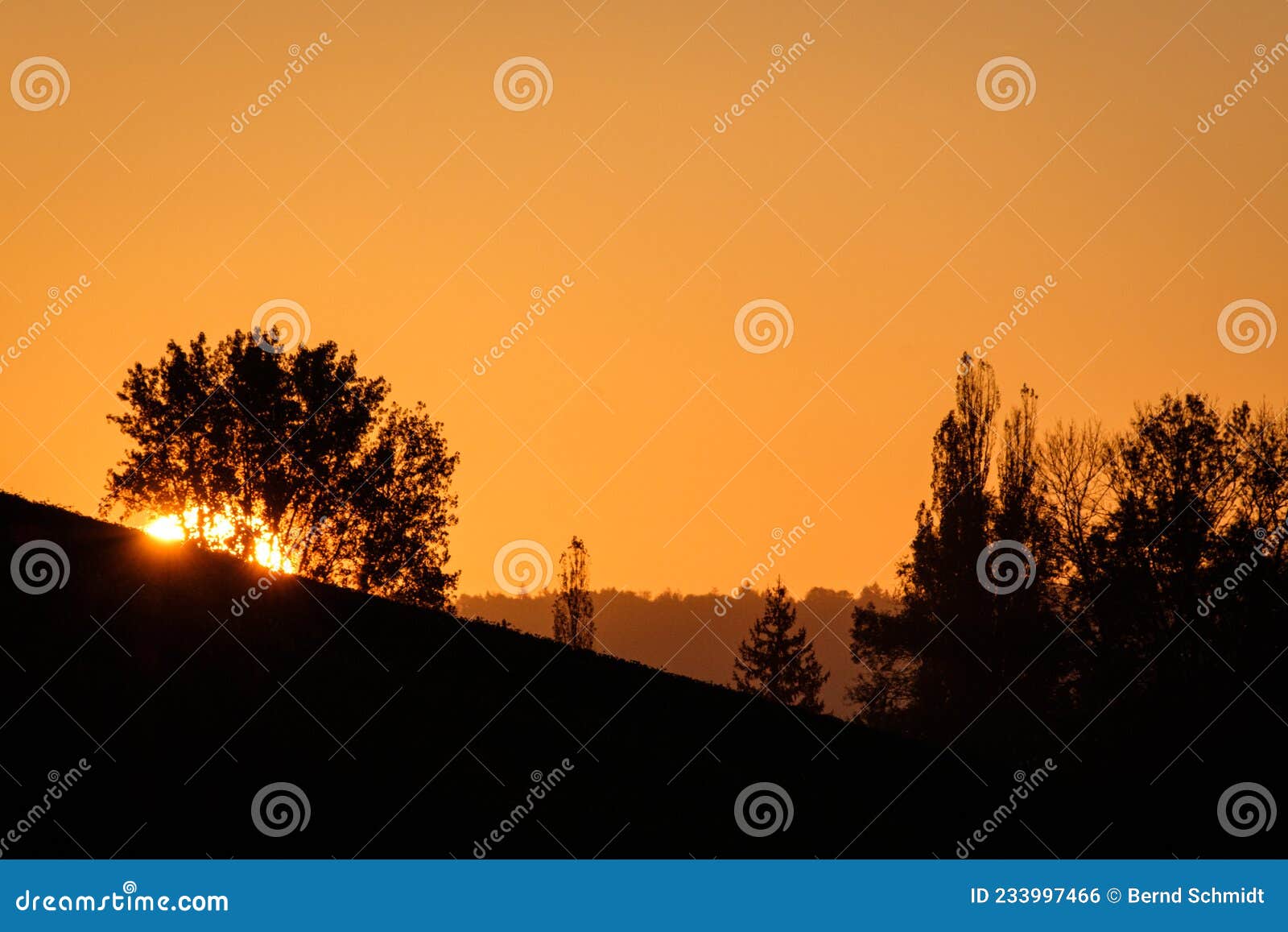 Sunrise in German Landscape with Trees Stock Photo - Image of shape ...