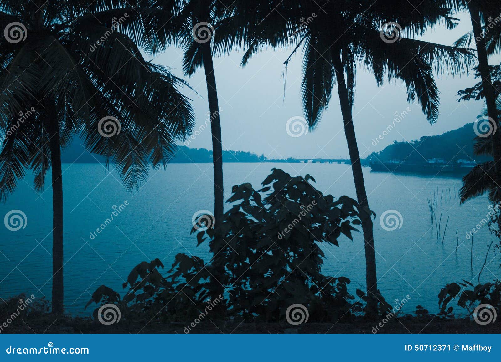 Sunrise in Goa stock image. Image of leaf, coconut, sundown - 50712371