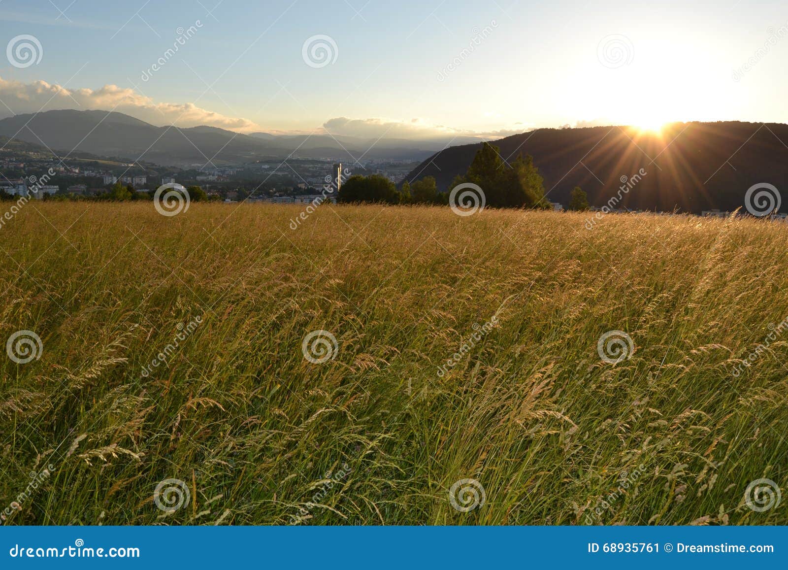 Sunrise on Gold Grass Field Stock Image - Image of natural, grassland ...