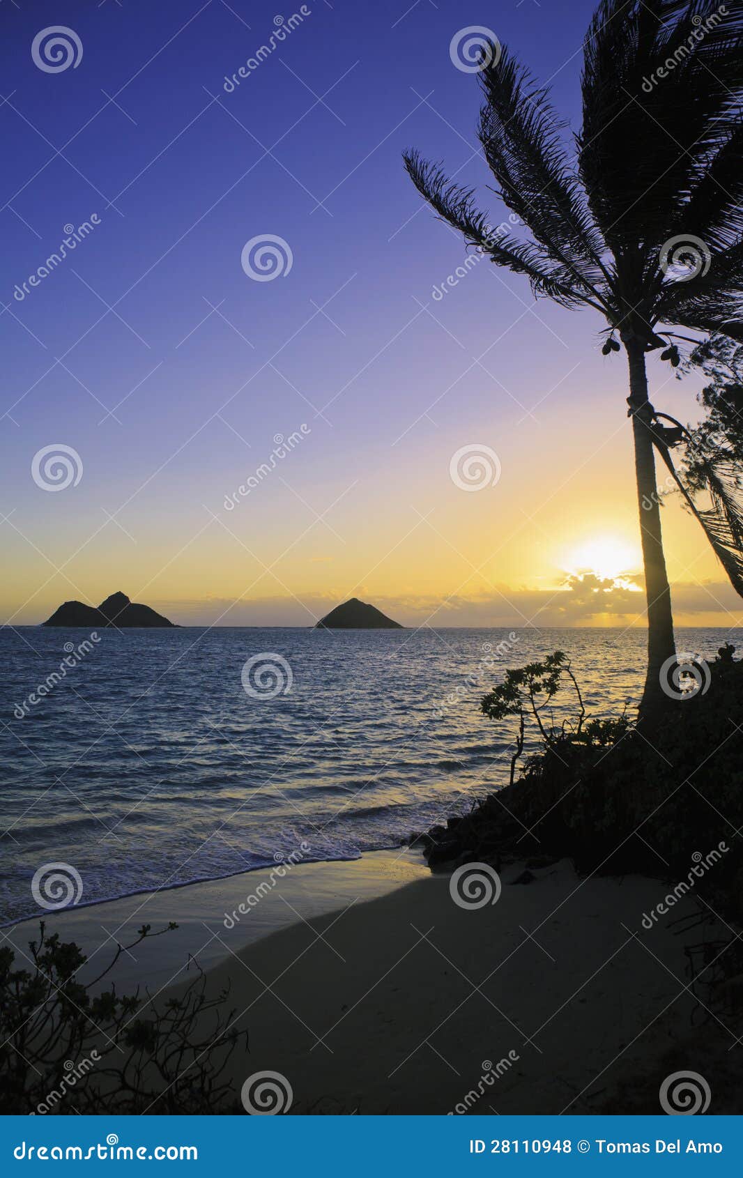 Sunrise in hawaii stock photo. Image of ocean, sunrise - 28110948