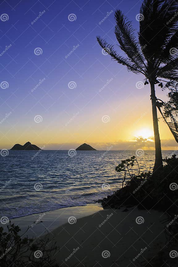 Sunrise in hawaii stock photo. Image of ocean, sunrise - 28110948
