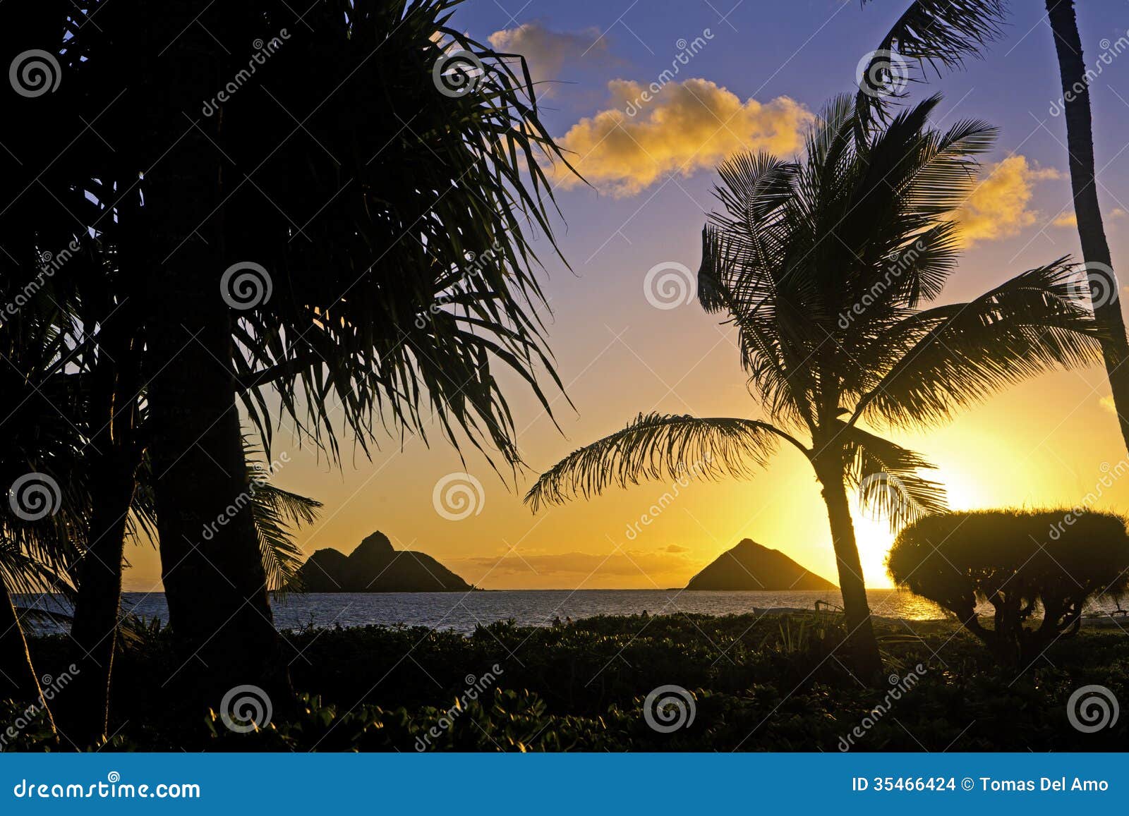 Sunrise in hawaii stock photo. Image of pacific, tropics - 35466424