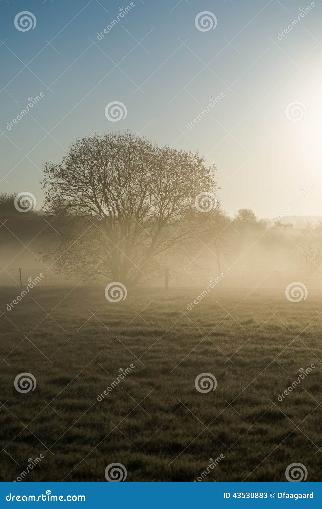 Sunrise haze park stock image. Image of bright, fence - 43530883