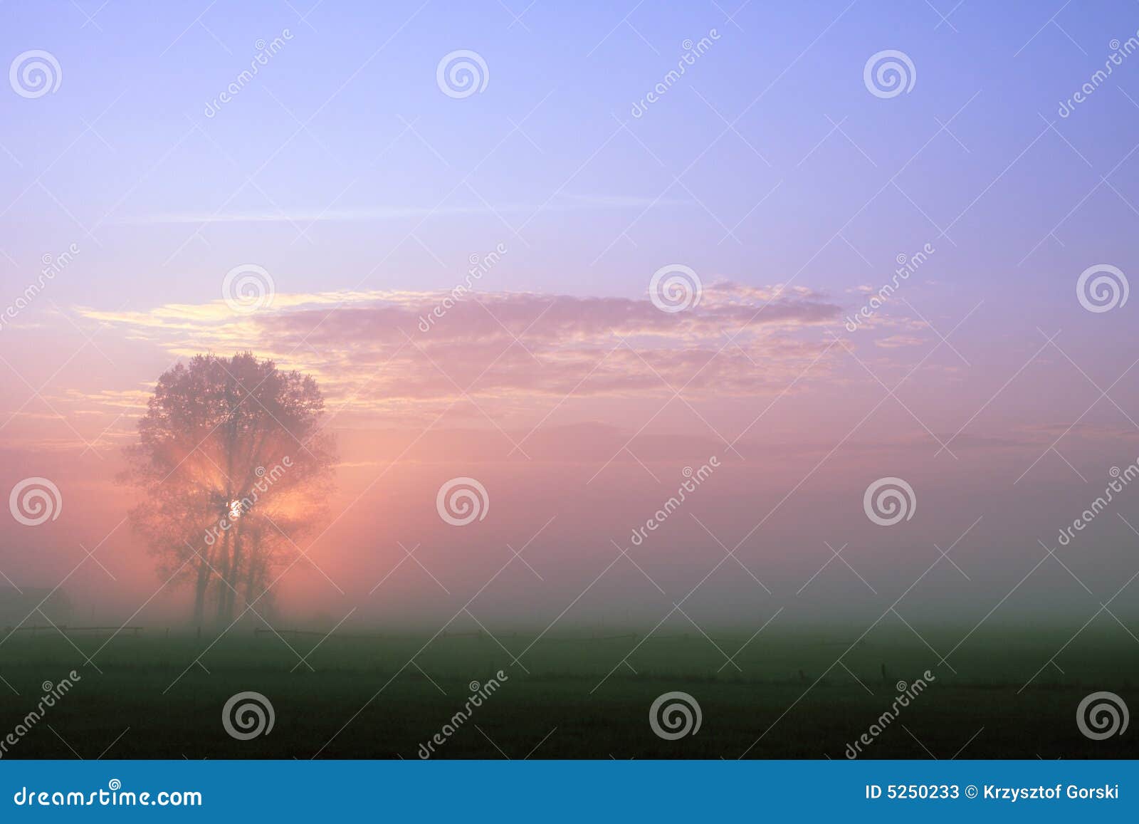 Sunrise on hazy meadow stock image. Image of scenery, romantic - 5250233