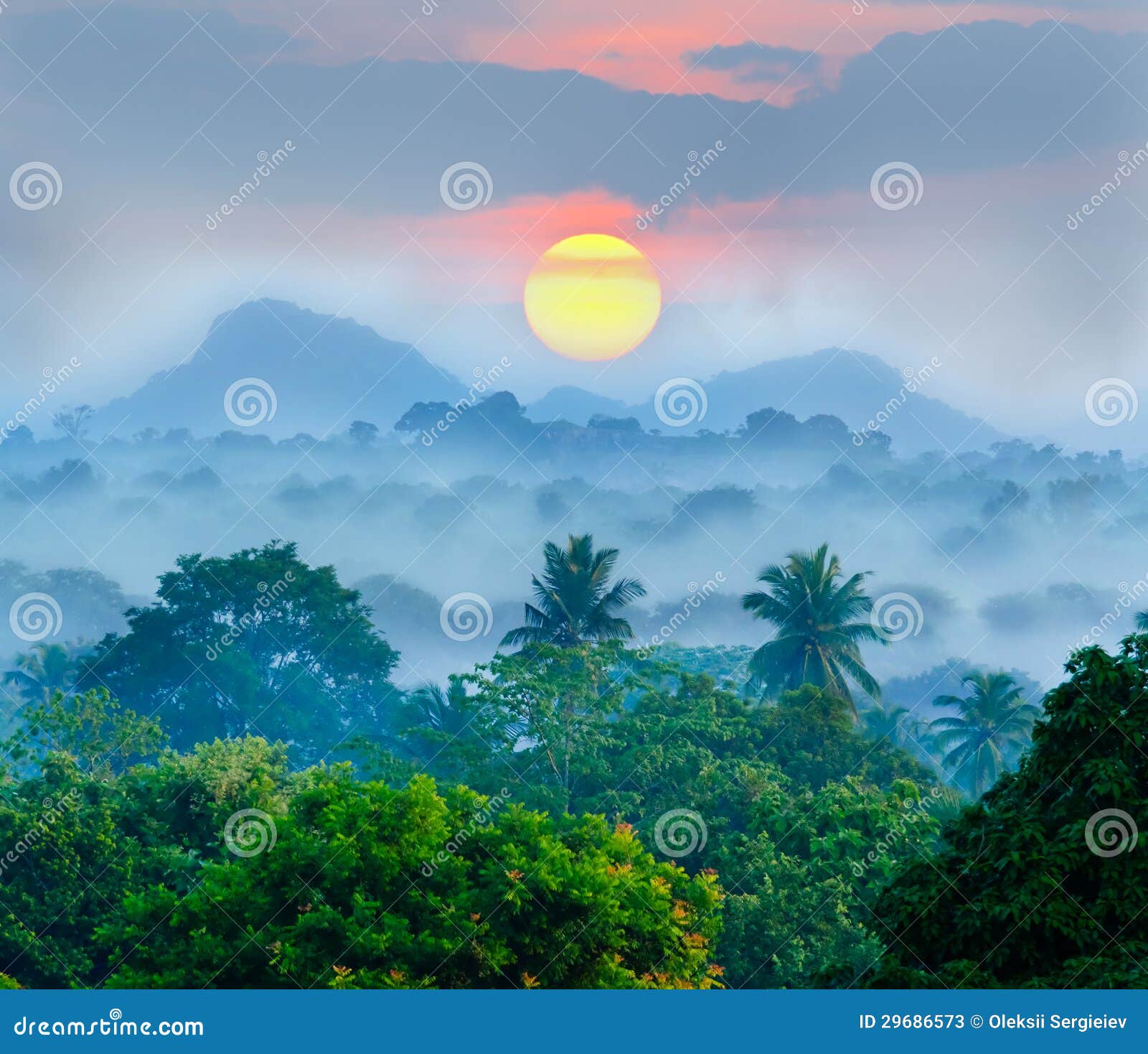 Sunrise in the jungles stock image. Image of foggy, green - 29686573
