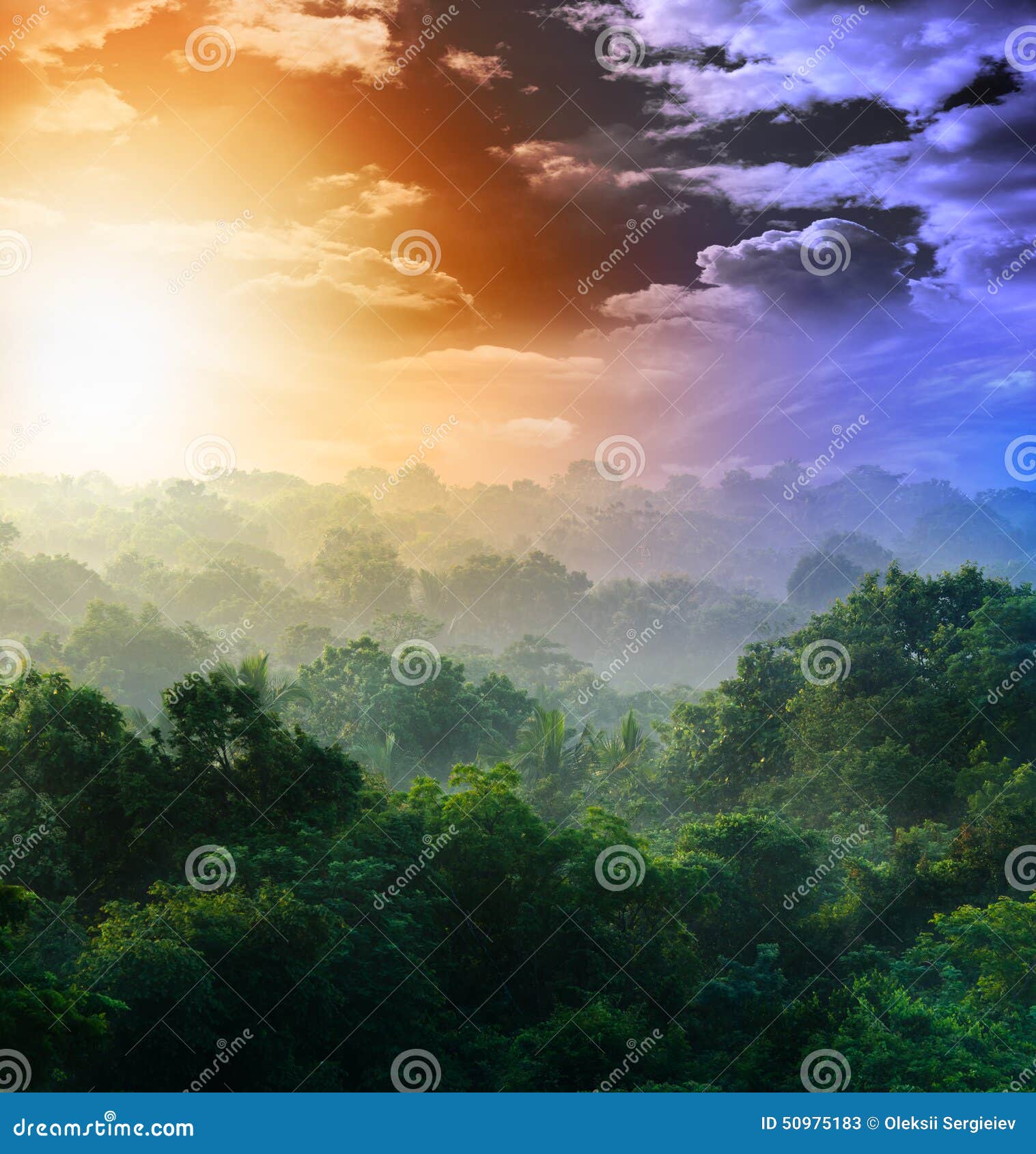 Sunrise in the jungles stock image. Image of deep, mountain - 50975183